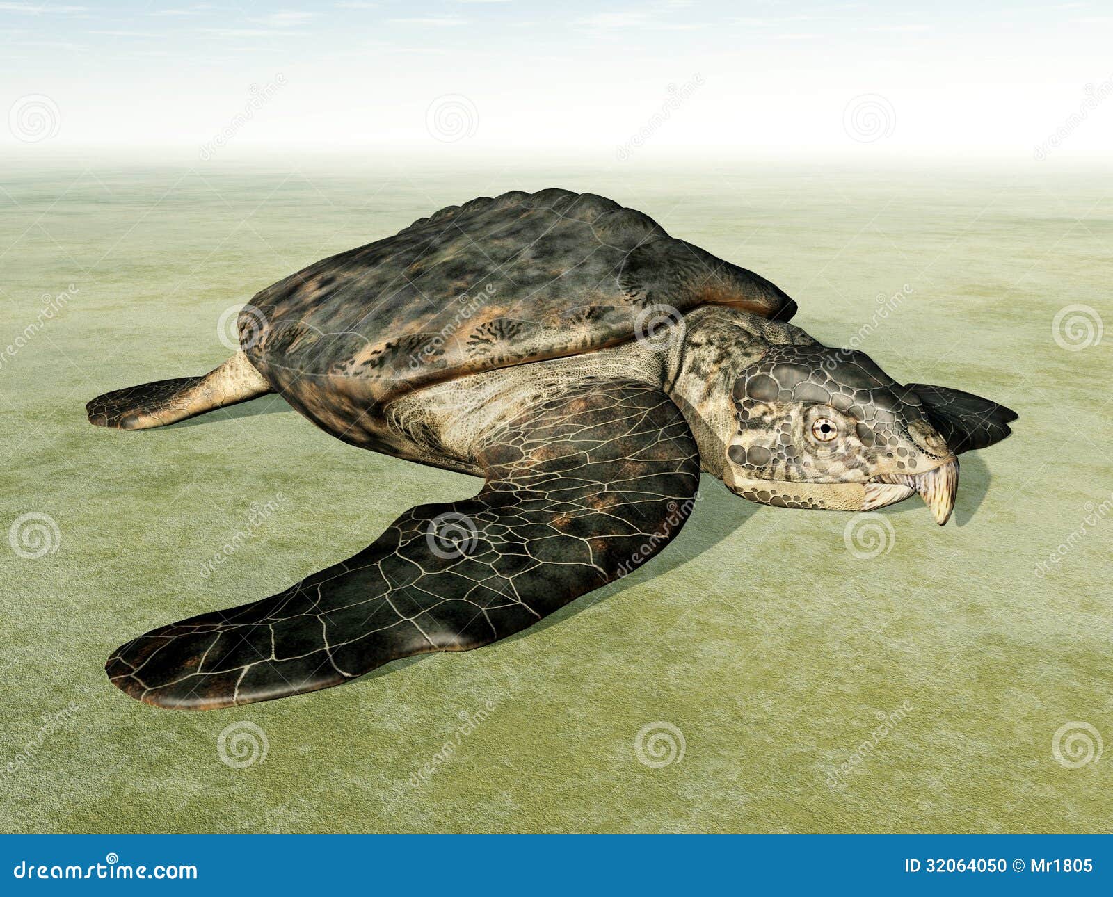 Archelon on Dry stock illustration. Illustration of science - 32064050