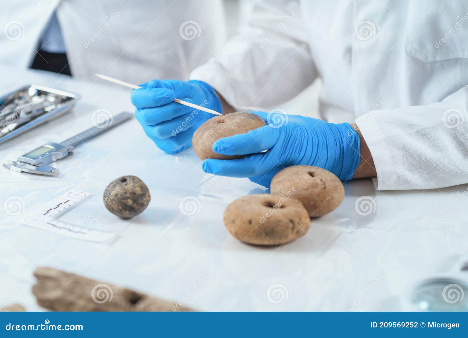 Archeologi Che Analizzano Il Peso Antico in Laboratorio Fotografia ... Archeologi Che Analizzano Il Peso Antico in Laboratorio Fotografia ...