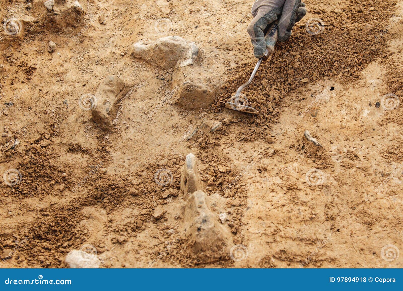 Archeological Tools, Archeologist Working on Site, Hand and Tool. Stock ...