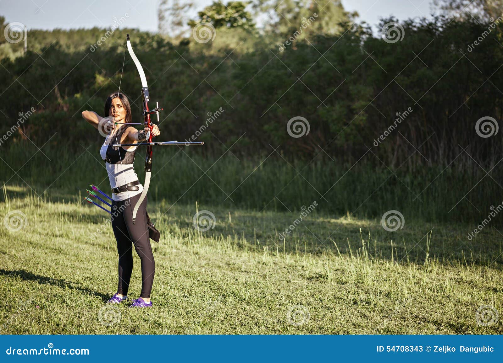 Archery stock image. Image of young, archery, woman, focusing - 54708343