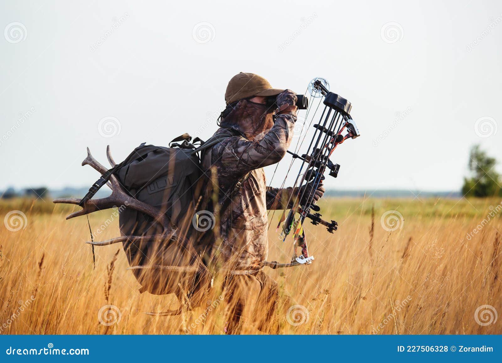 Archery Hunter Scouting for His Next Target. Stock Photo - Image of ...
