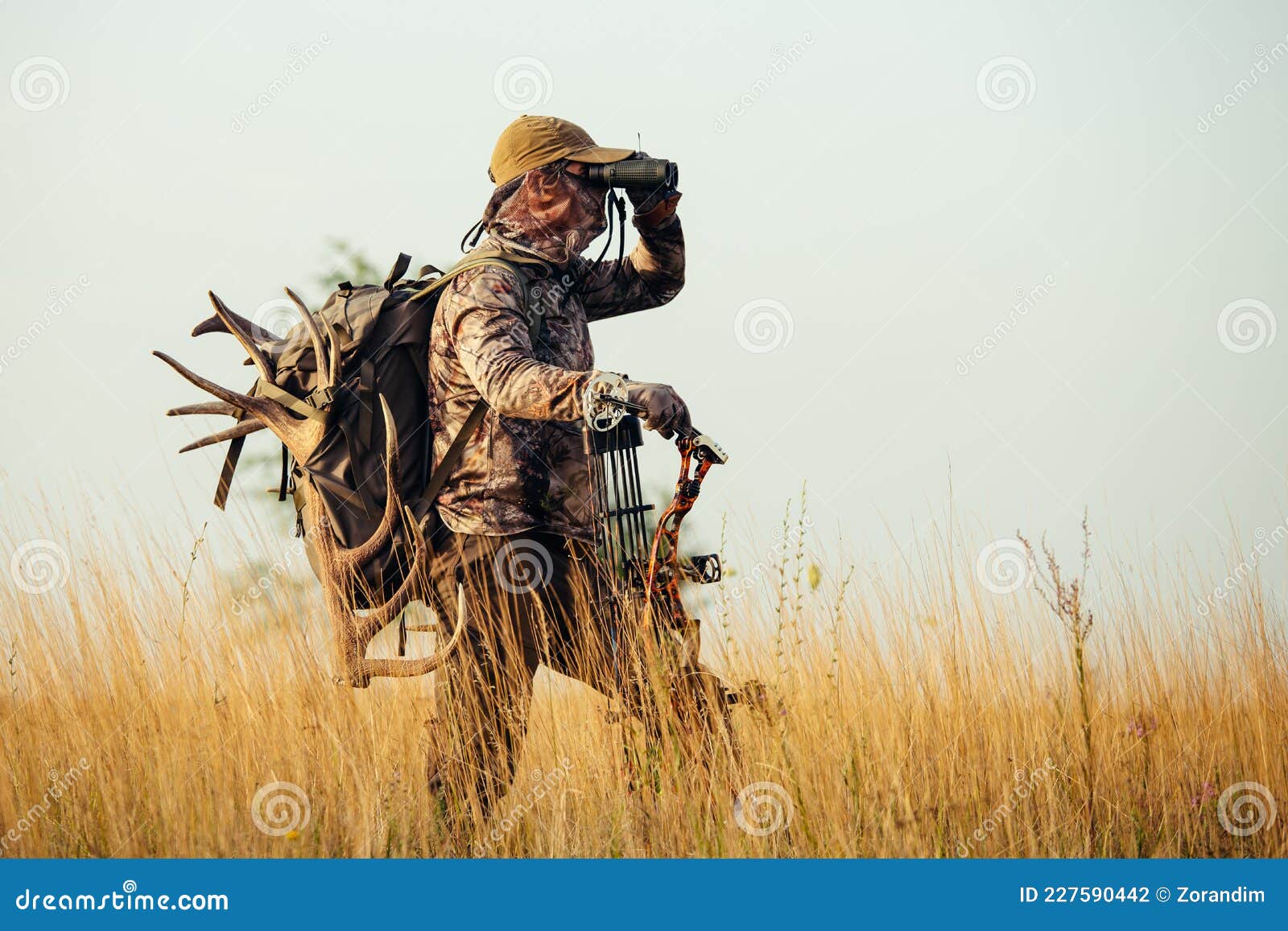 Archery Hunter Scouting for His Next Target. Stock Photo - Image of ...