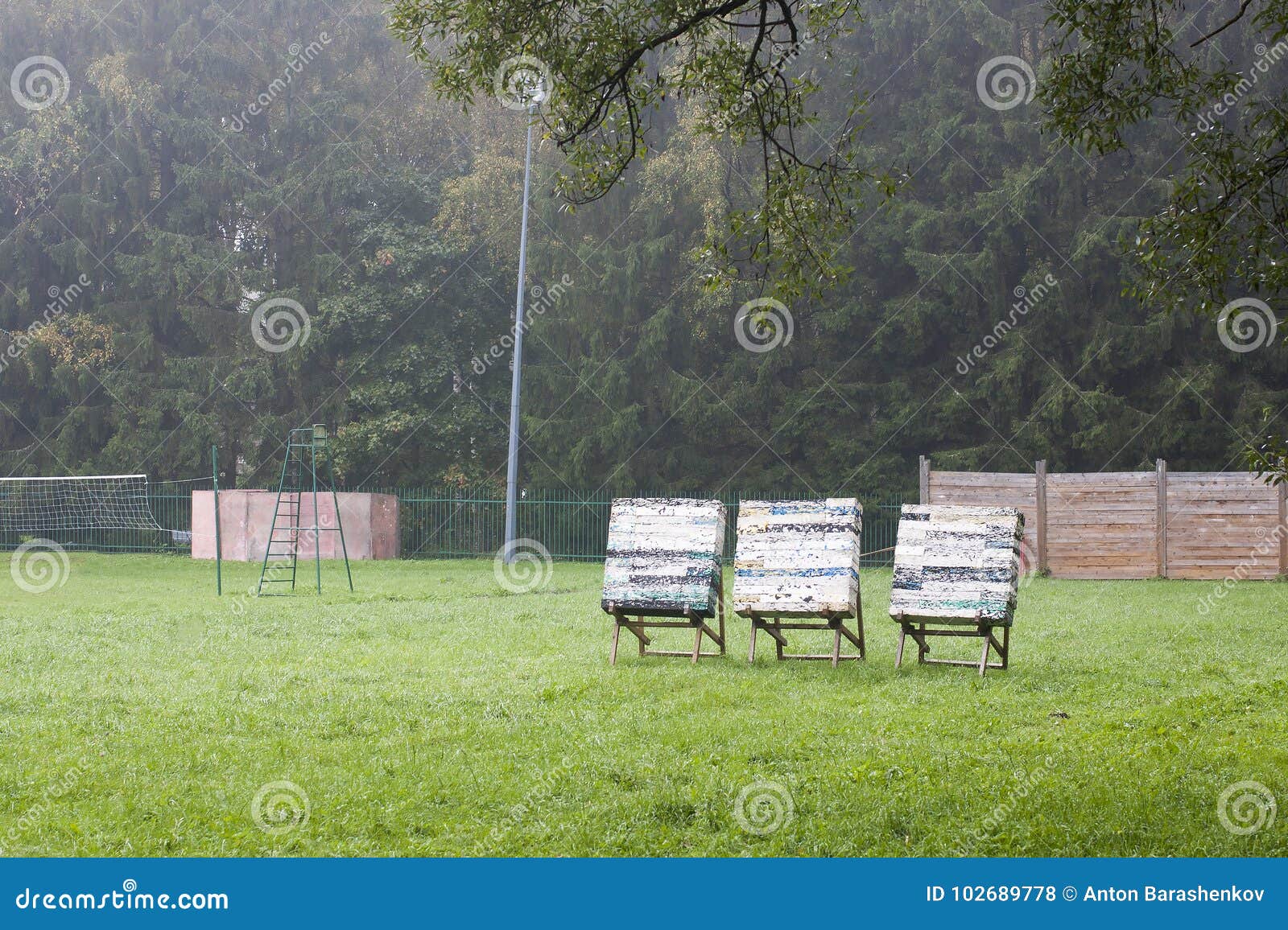 Archery Square Targets on Green Field in Forest. Stock Photo - Image of ...