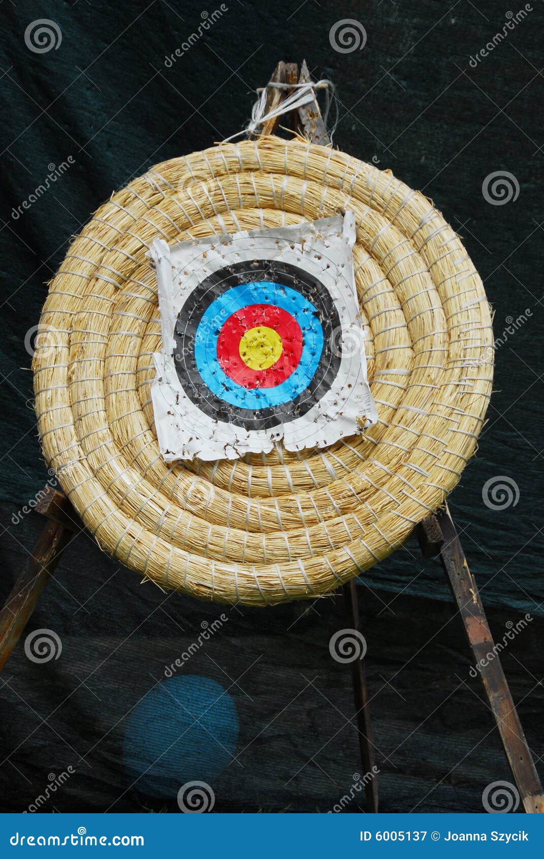 Archery Target stock image. Image of shoot, trees, green - 6005137