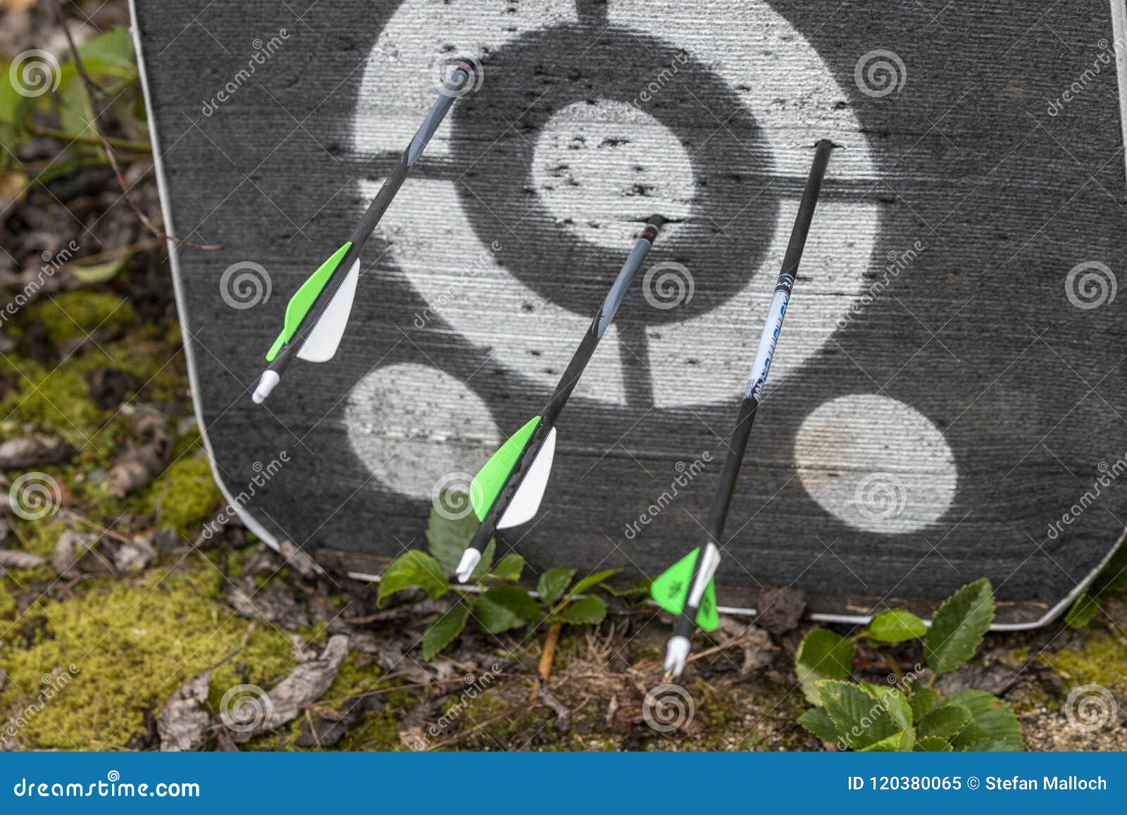 An Archery Target with Arrows in it Editorial Image - Image of isolated ...