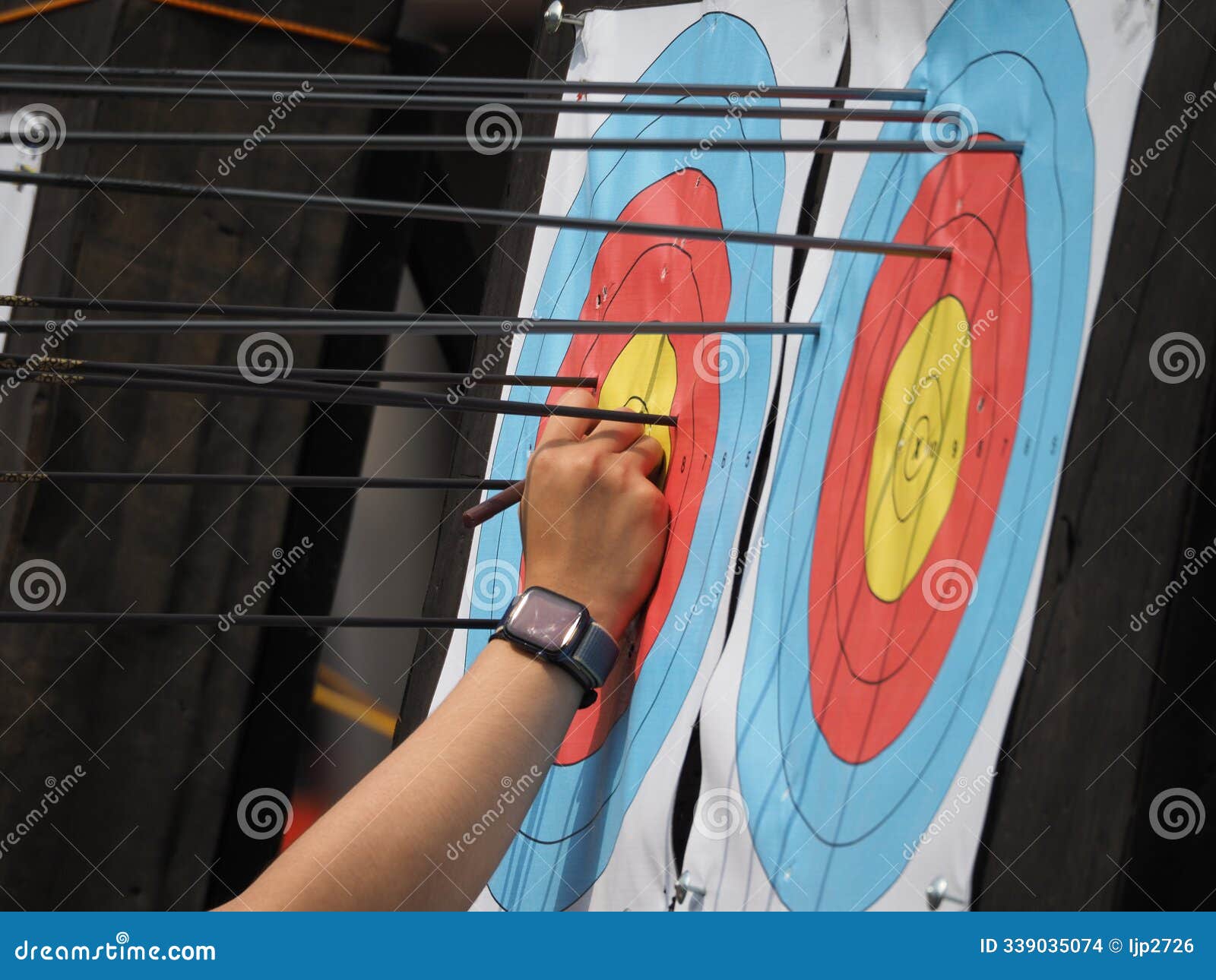 Archery Target with Arrows in a Shooting Range Stock Photo - Image of ...
