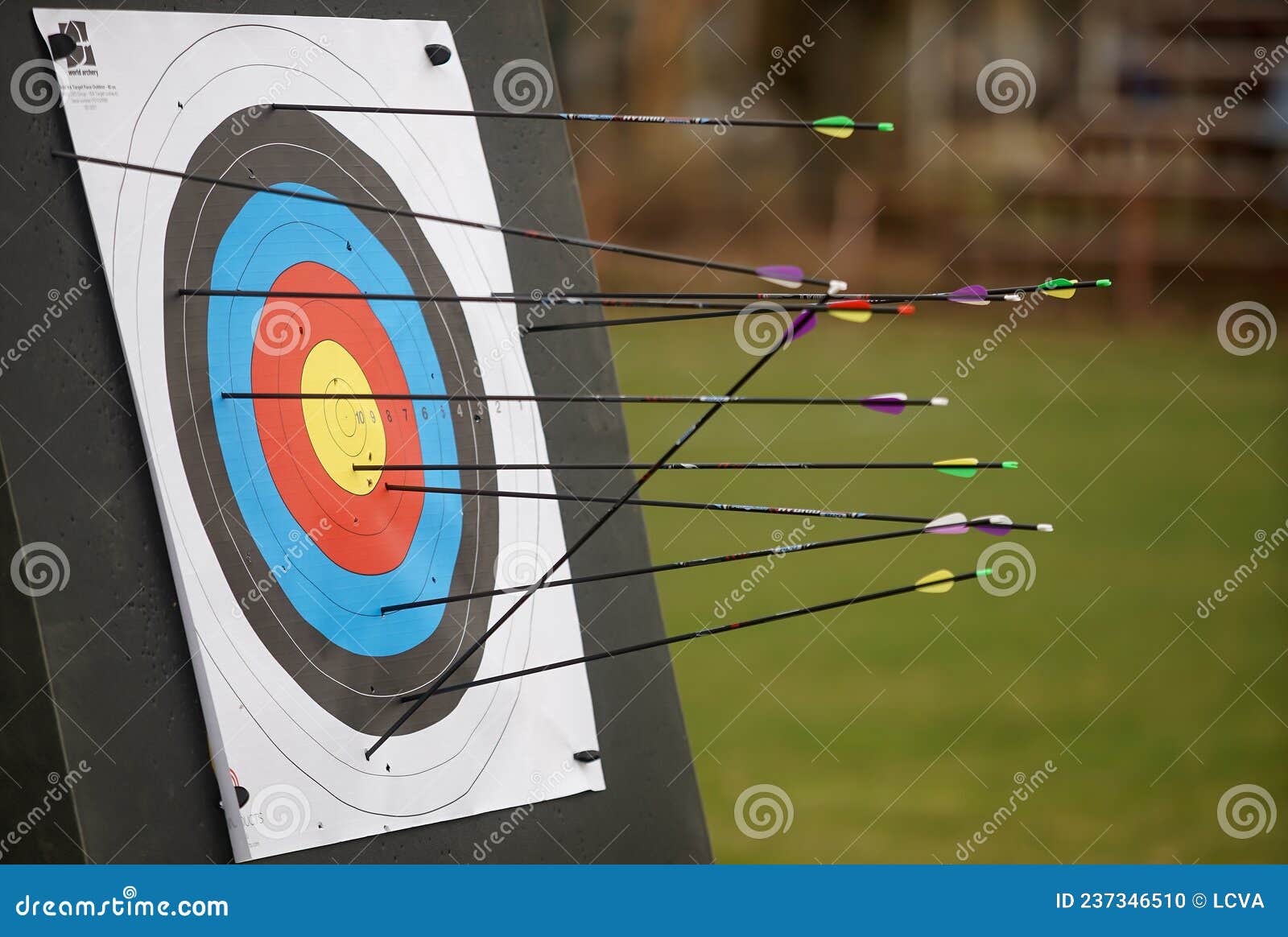 Archery target editorial image. Image of game, performance - 237346510