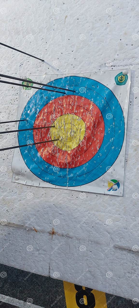 Archery target faces stock photo. Image of pattern, faces - 279676106