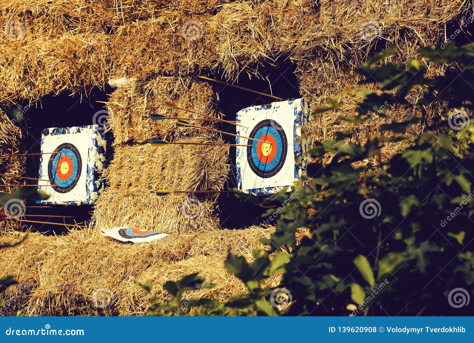 Archery Targets with Arrows Stock Photo - Image of shooting, nature ...