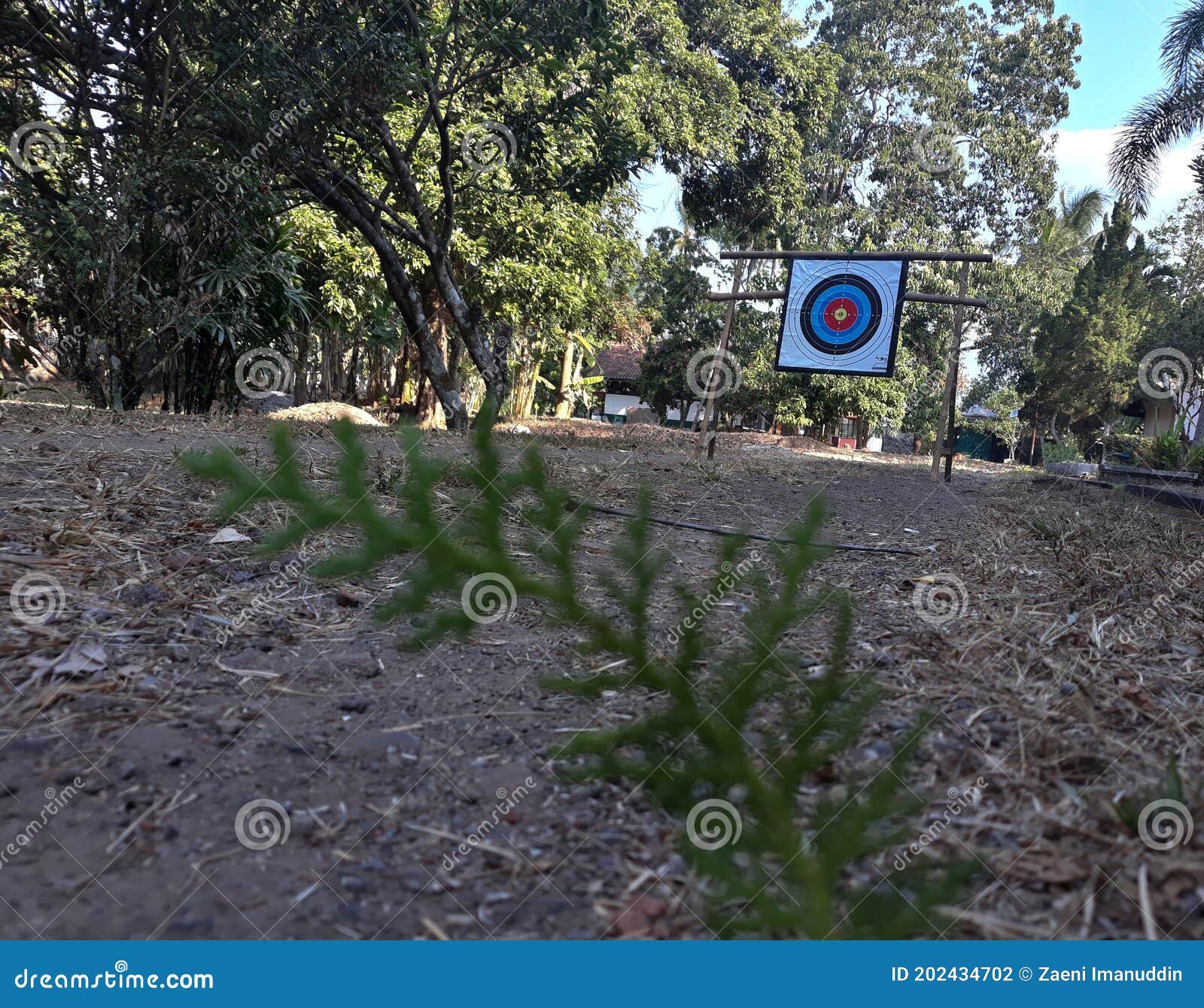 An Archery Training Ground between Trees Stock Photo - Image of beetwen ...