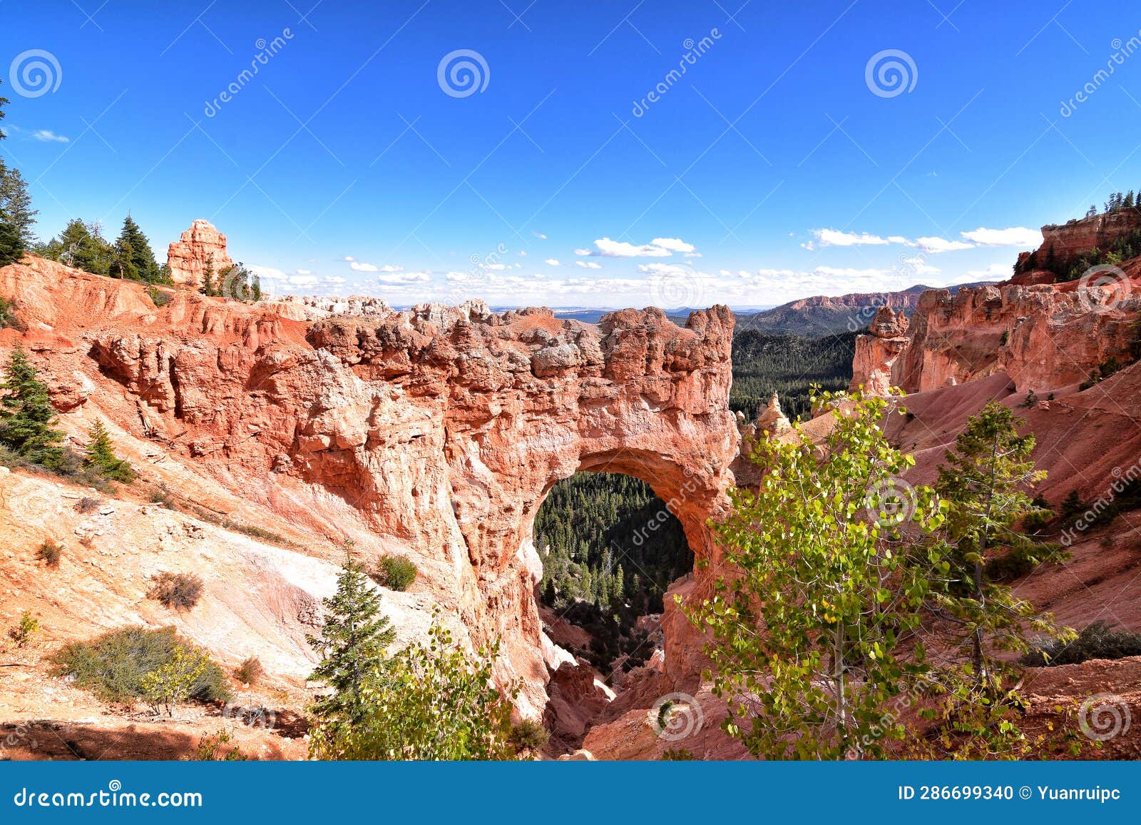 The Arches with a Gate Shape Arch Stock Photo - Image of tourism ...