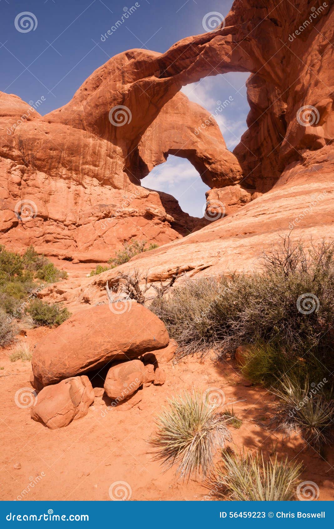 Arches National Park stock image. Image of vegetation - 56459223