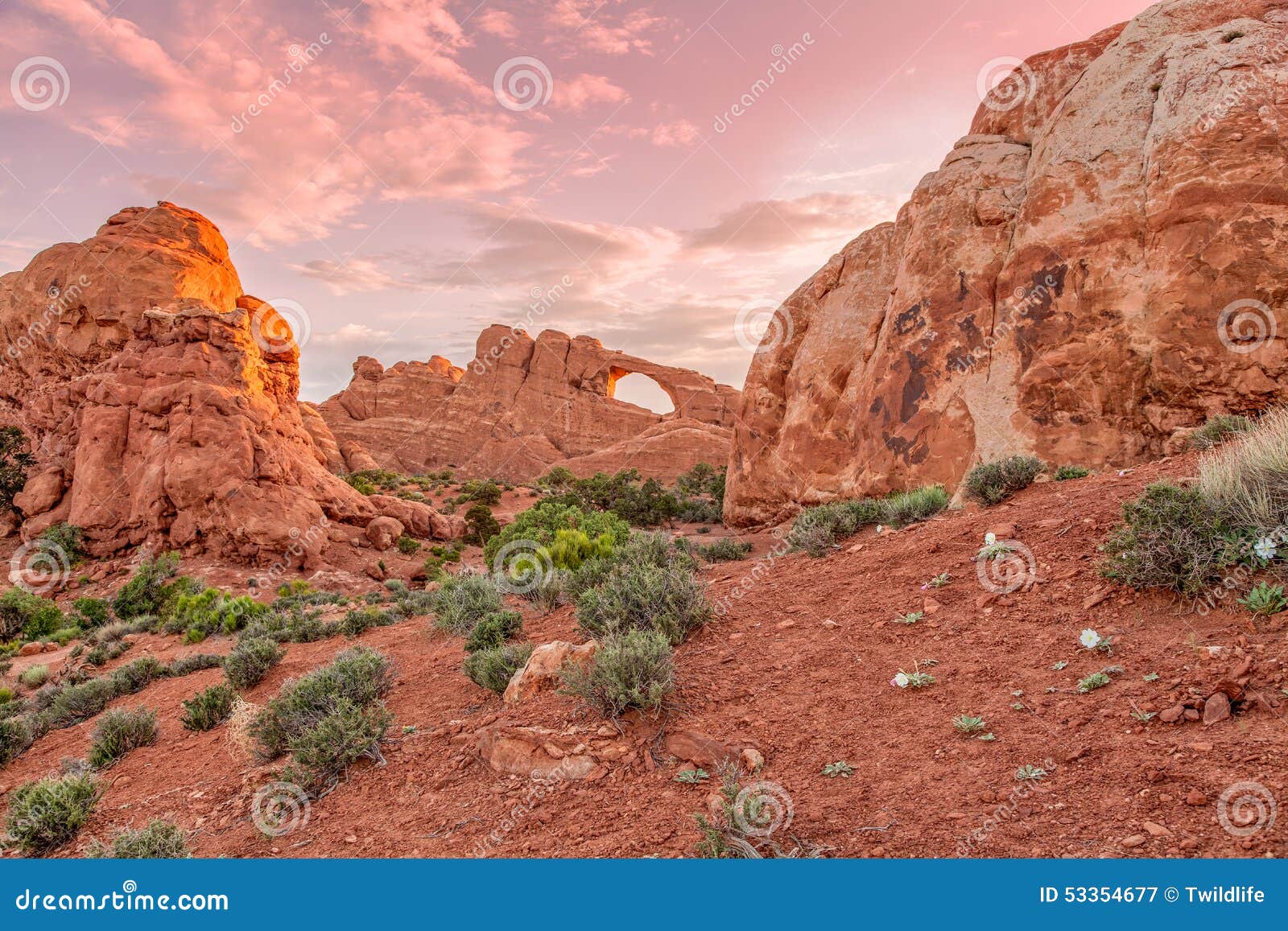 Arches National Park Utah Scenic Stock Image - Image of nature, arches ...