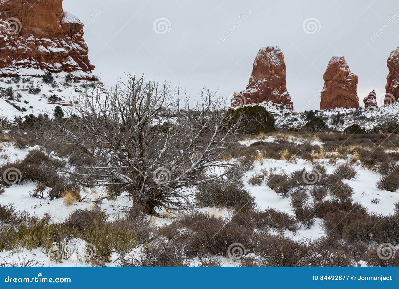 Arches National Park in Utah Stock Image - Image of park, shoot: 84492877