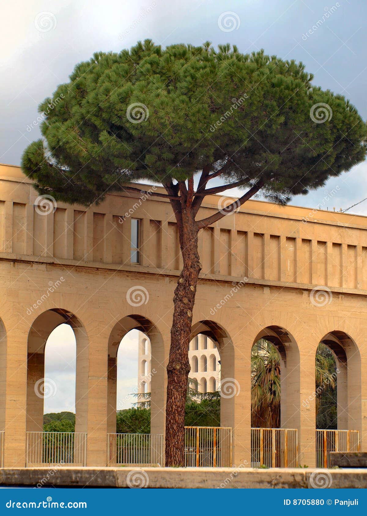 Arches and the pine tree stock photo. Image of porch, architecture ...