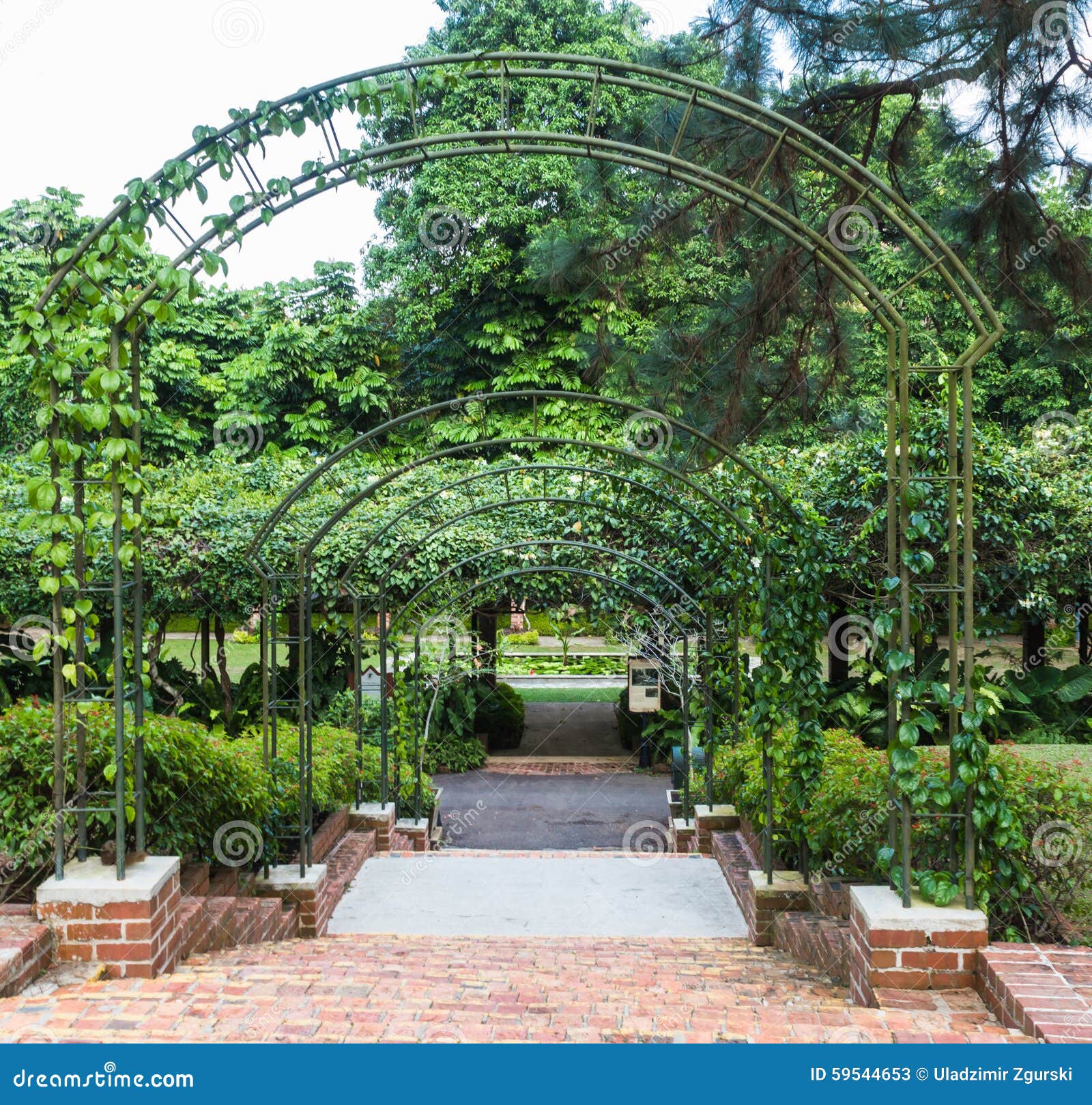 Arches with plants stock image. Image of abstract, leaf - 59544653