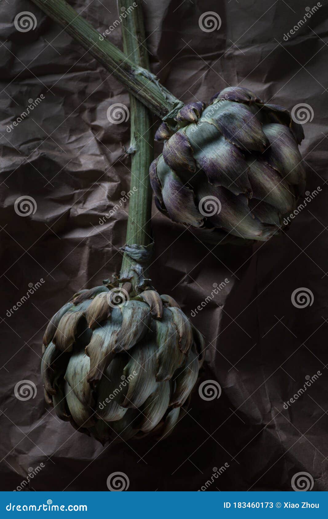 Archichoke stock image. Image of food, plants, spring - 183460173