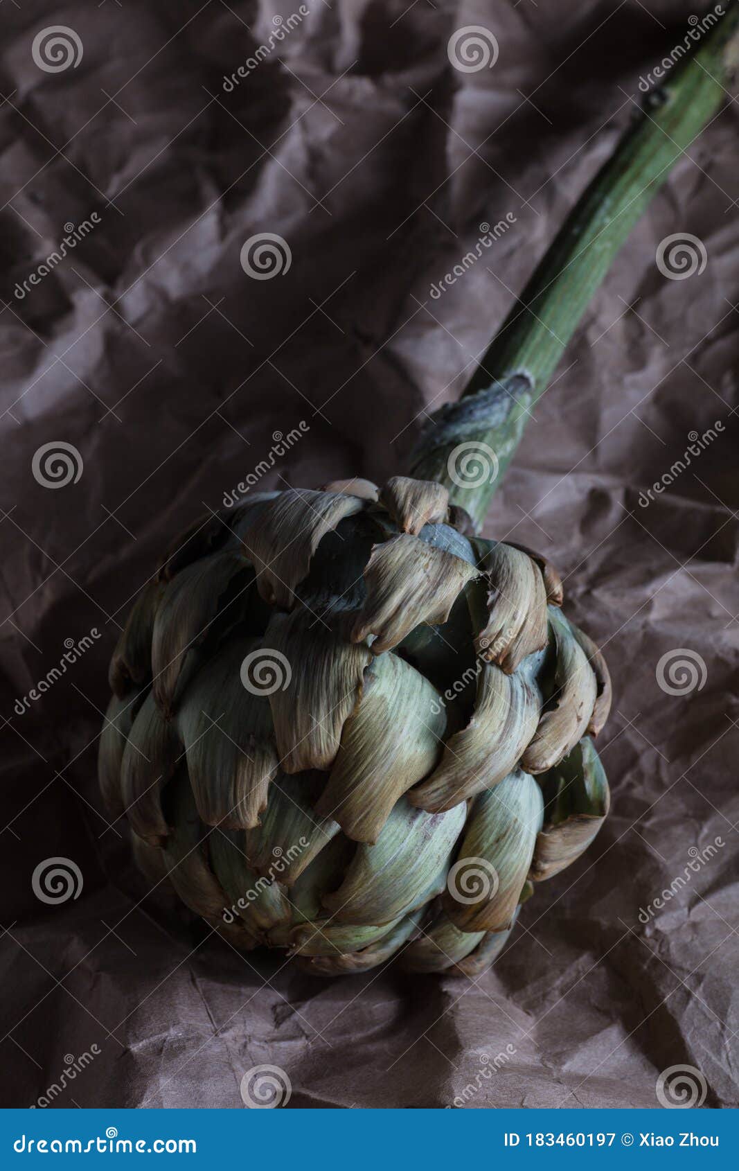 Archichoke stock image. Image of europe, archichoke - 183460197