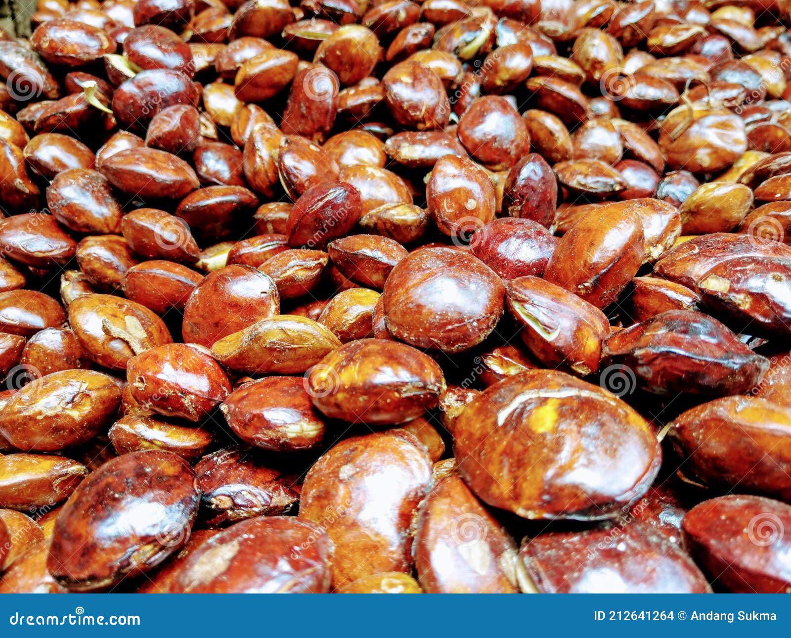 Archidendron Pauciflorum - Jengkol Stock Photo - Image of food, health ...