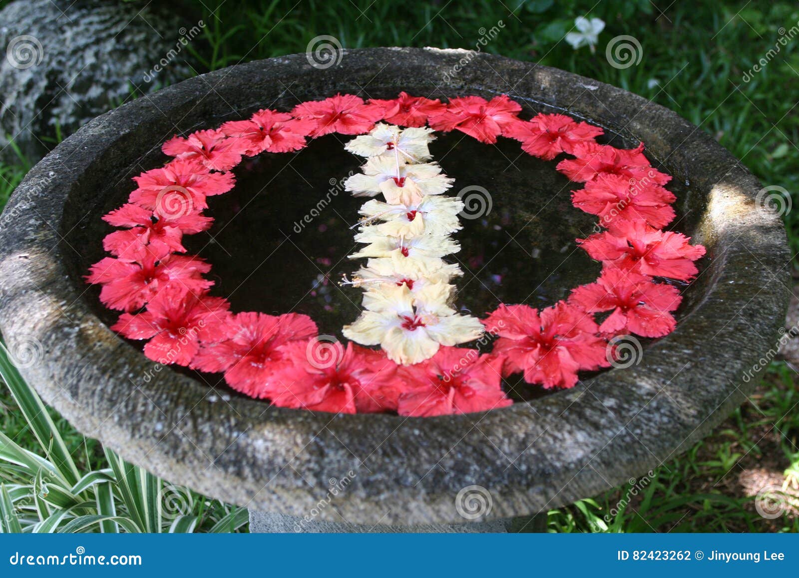 Architect stock photo. Image of architect, flower, structure - 82423262