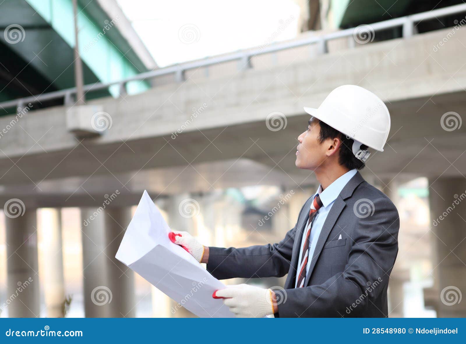 Architect with blueprint stock photo. Image of architect - 28548980