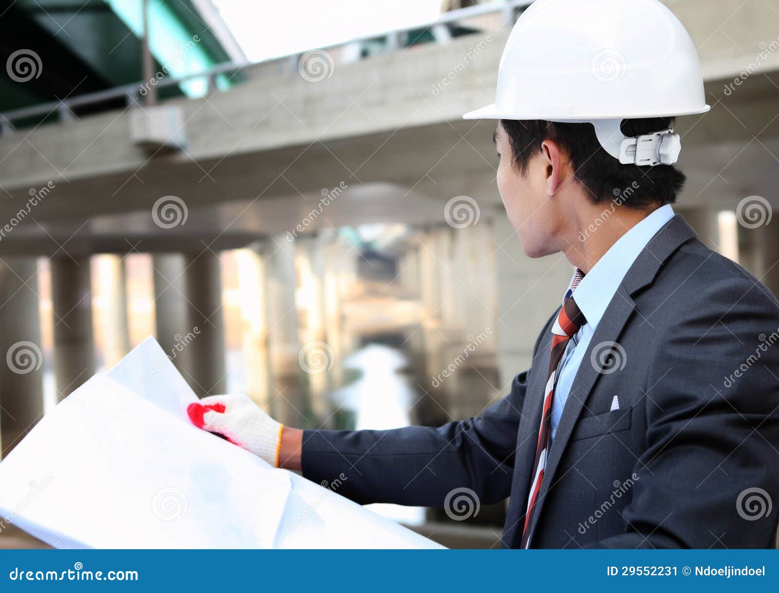 Architect with blueprint stock image. Image of manager - 29552231