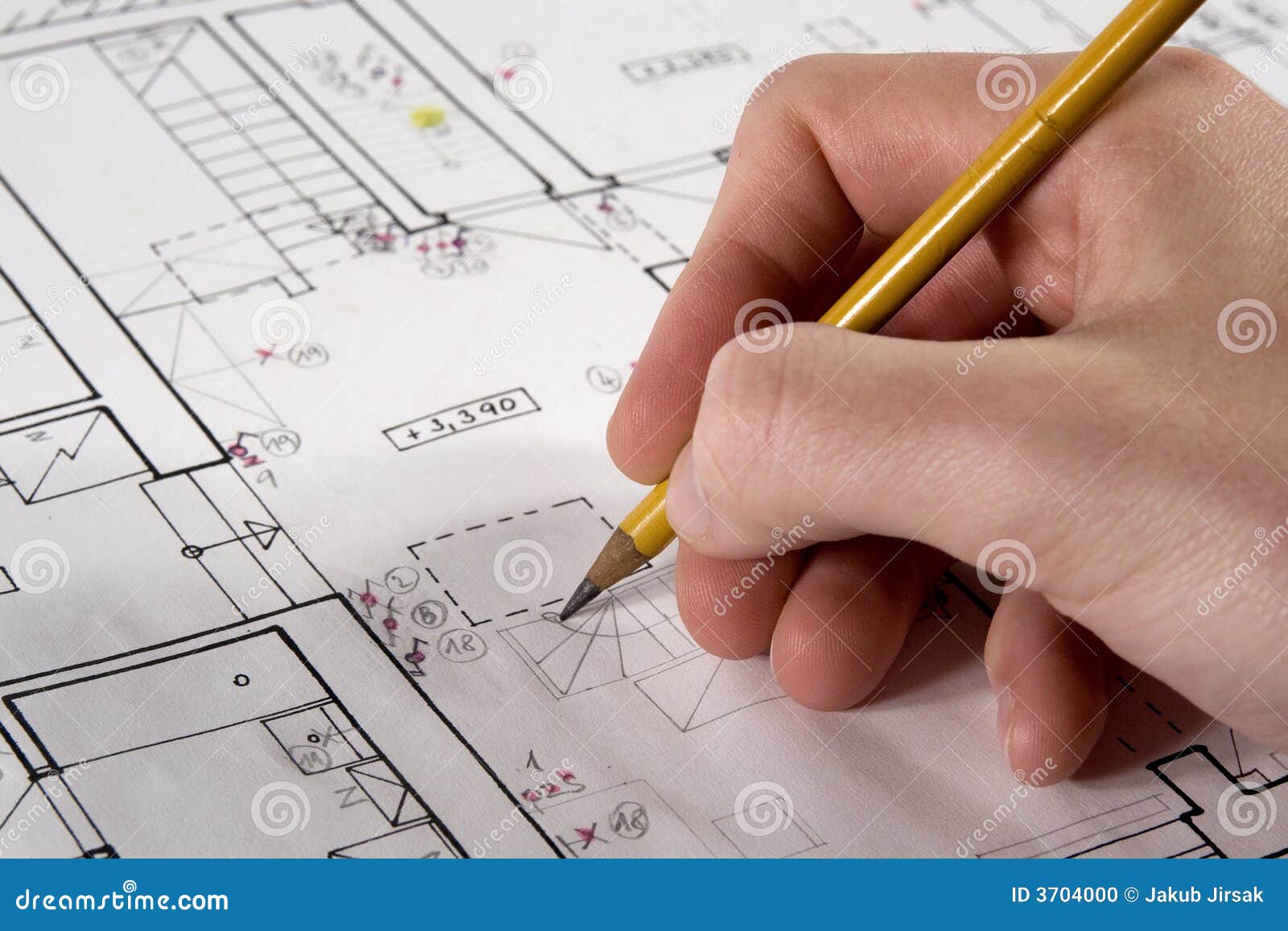 Architect with blueprint stock photo. Image of designer - 3704000
