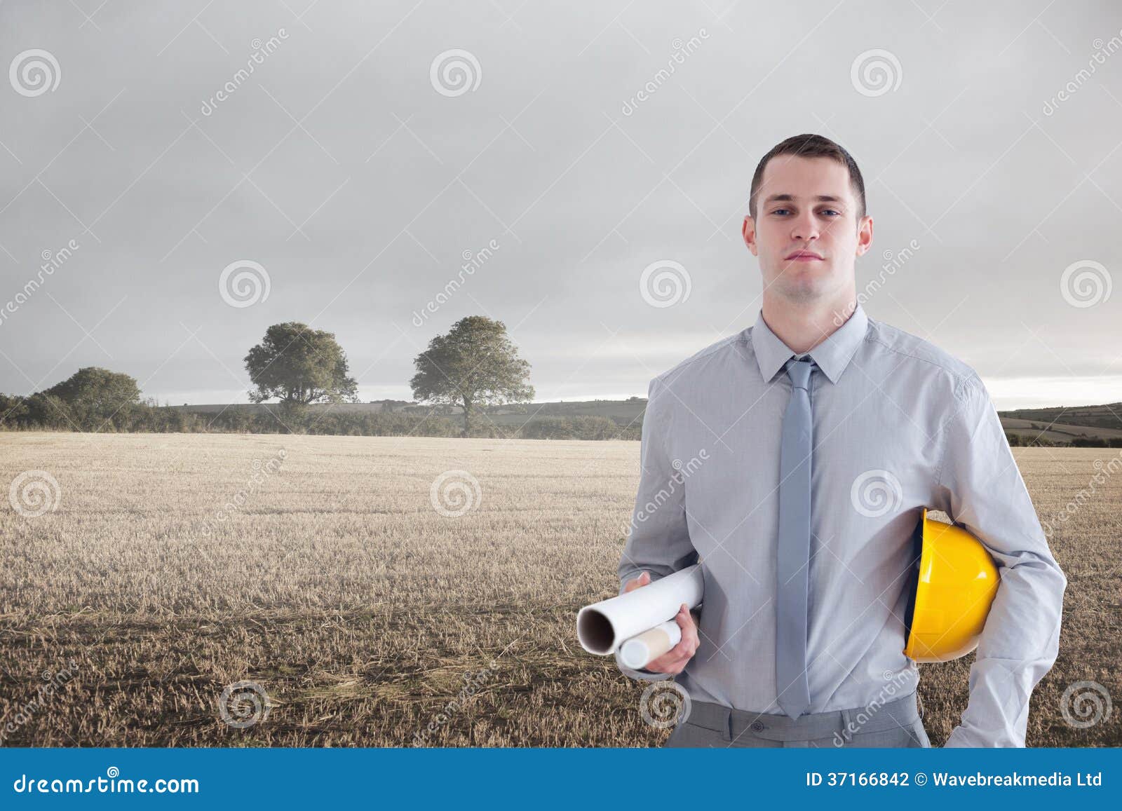 Architect Carrying Construction Plans and Helm Stock Photo - Image of ...