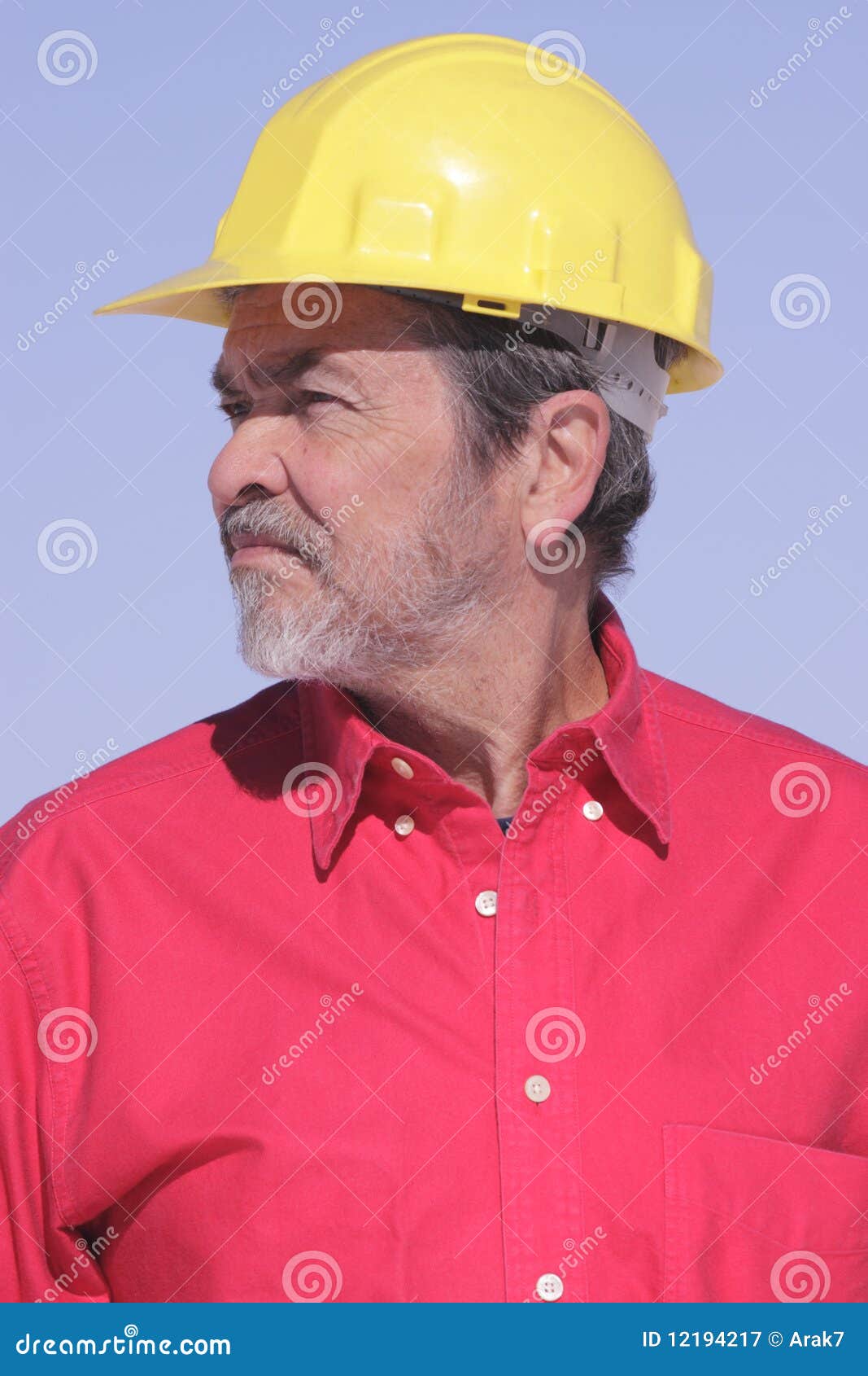 Architect, Contractor with Hard Hat Stock Image - Image of male ...