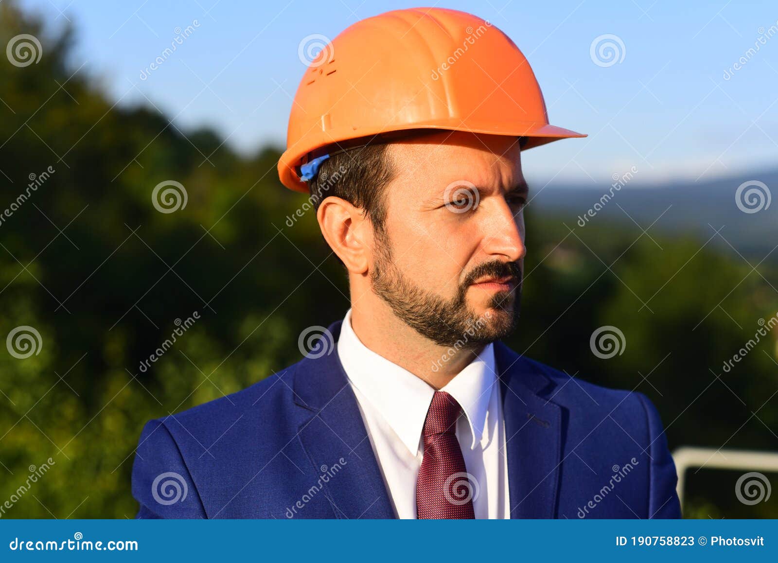 Architect Controls Work. Man with Beard and Serious Face Stock Image ...