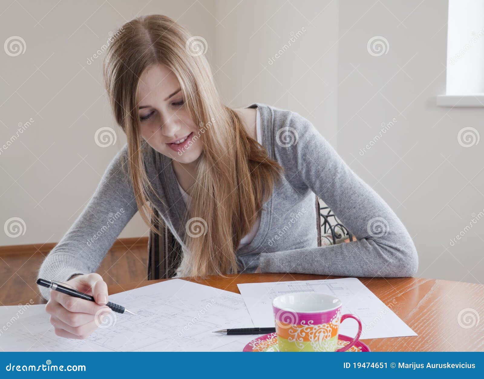 Architect girl at work stock image. Image of graph, hand - 19474651