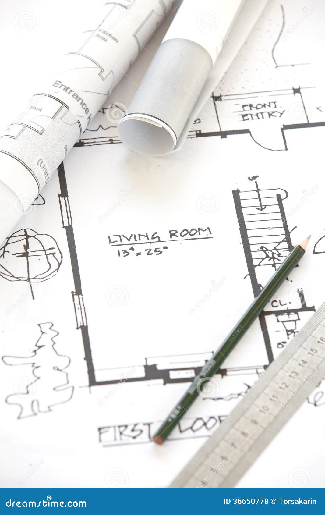Architect rolls and plans stock photo. Image of diagram - 36650778