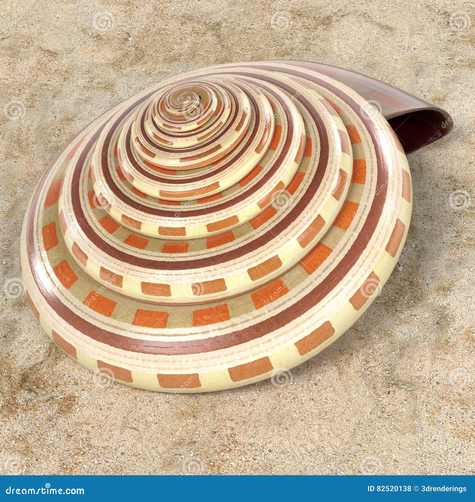 Architectonica Perspectiva Sundial Shell Stock Illustration ...