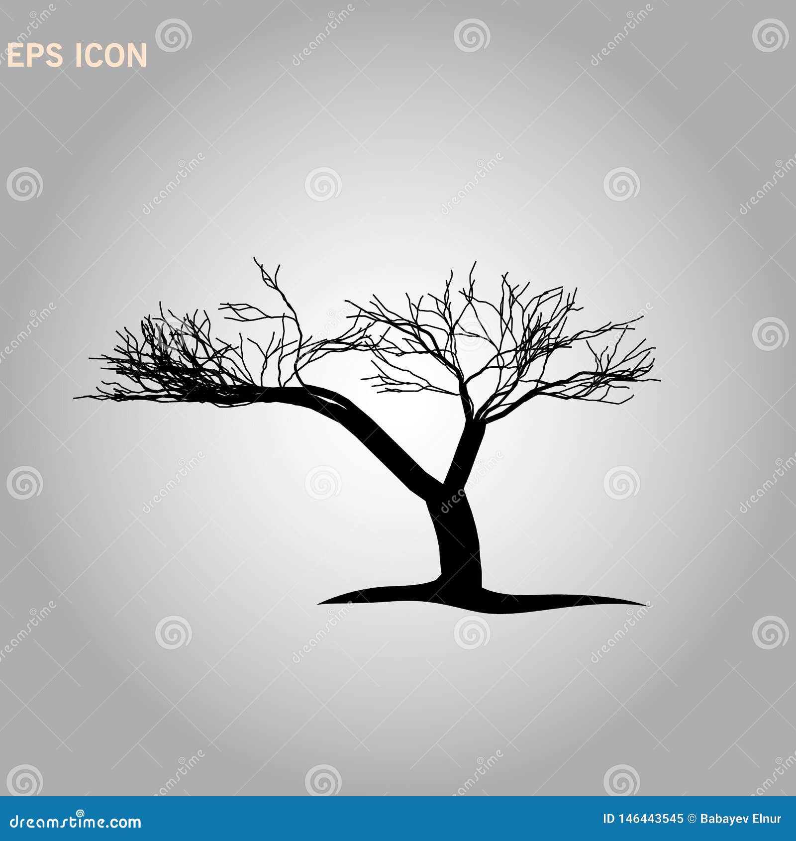 Architectonics Of The Crown Of Norway Maple. The Structure Of The Tree ...