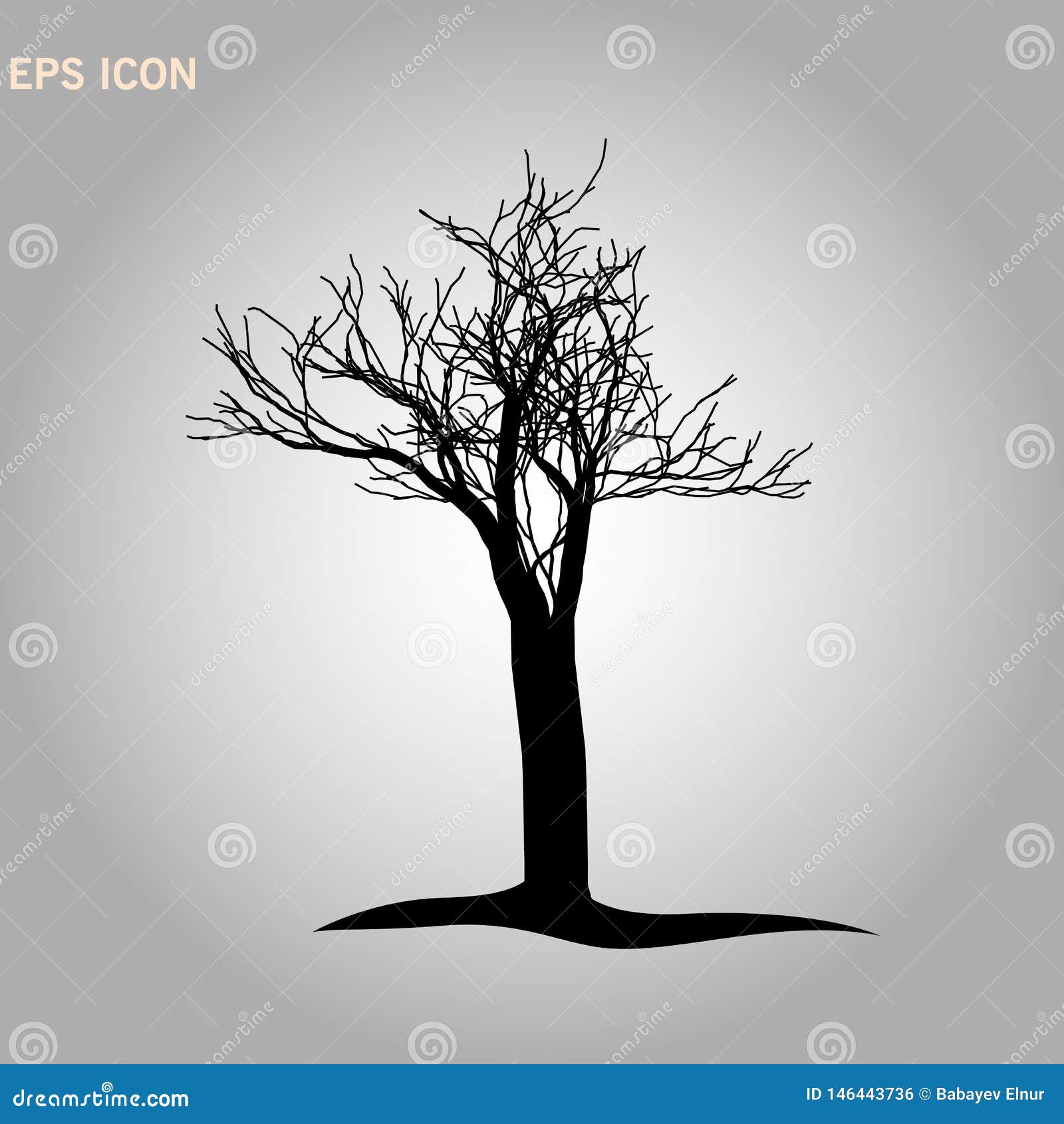 Architectonics Of The Crown Of Norway Maple. The Structure Of The Tree ...