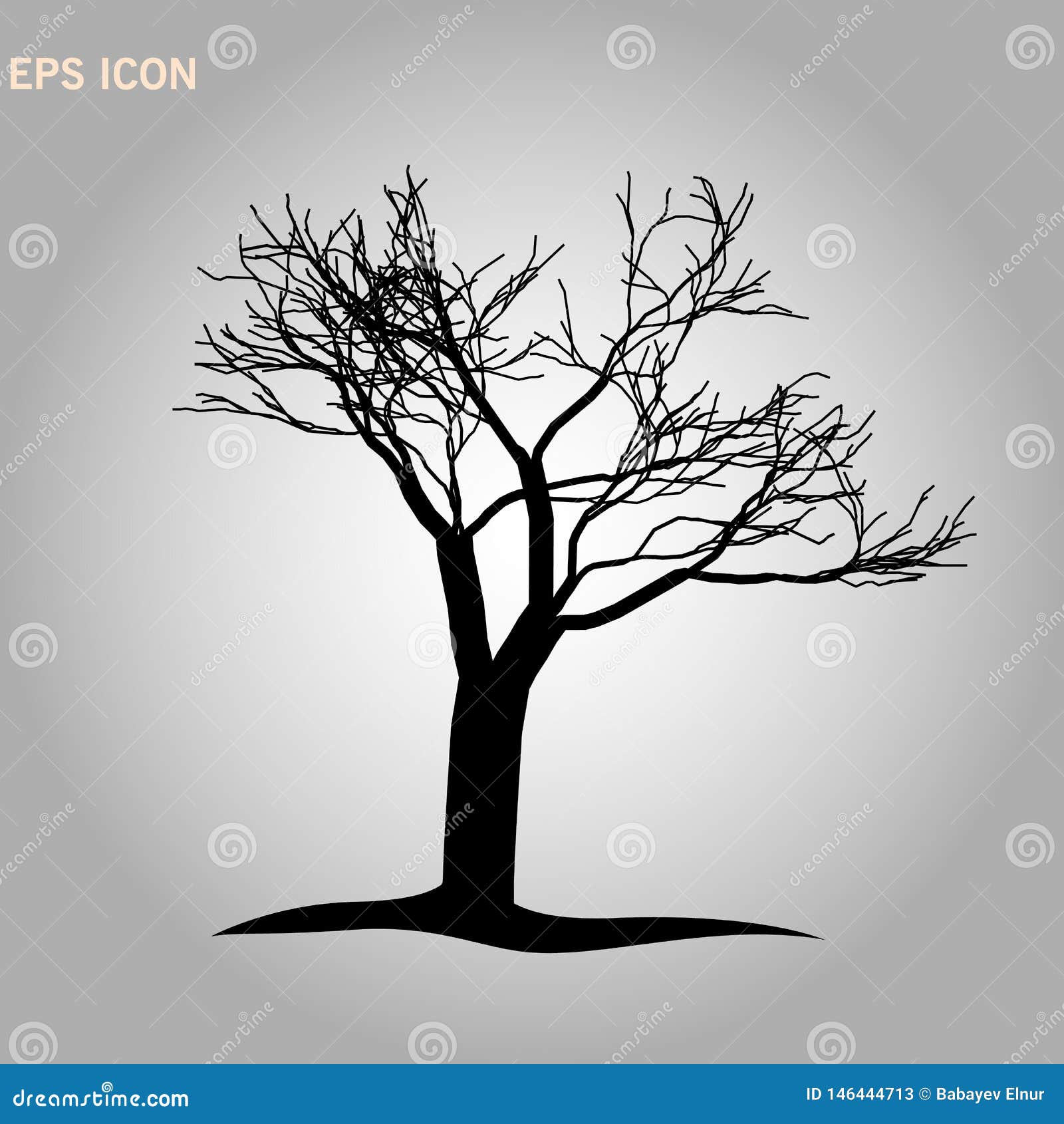 Architectonics Of The Crown Of Norway Maple. The Structure Of The Tree ...