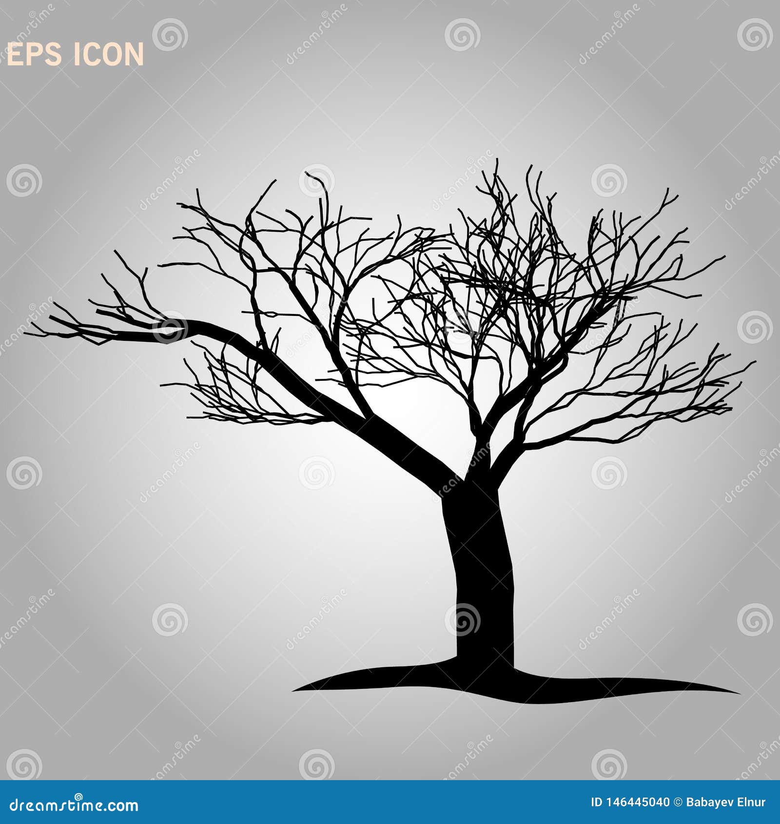 Architectonics Of The Crown Of Norway Maple. The Structure Of The Tree ...