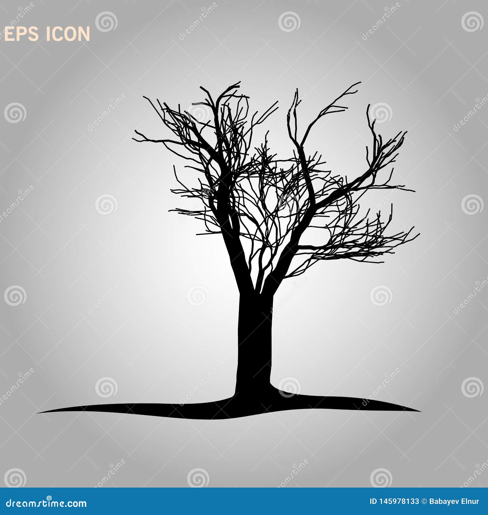Architectonics Of The Crown Of Norway Maple. The Structure Of The Tree ...
