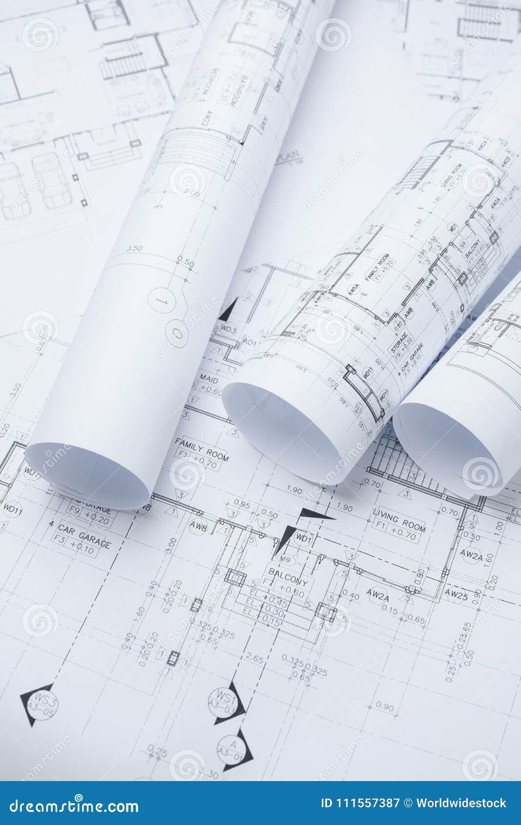 Architectural Drawing Paper Rolls of a Dwelling Stock Image - Image of ...