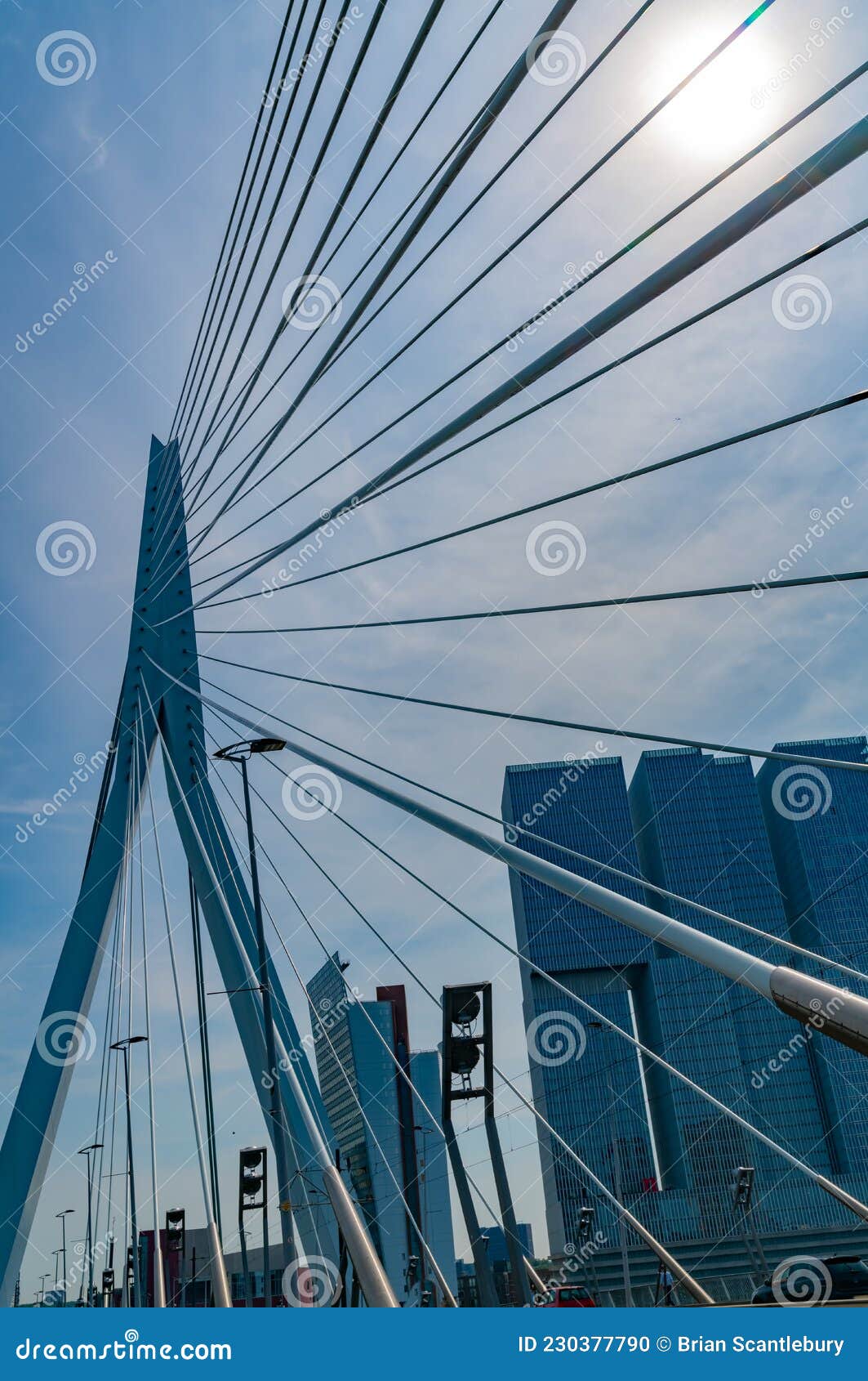 Architectural Leading Converging Lines of Structural Cables of Erasmus ...