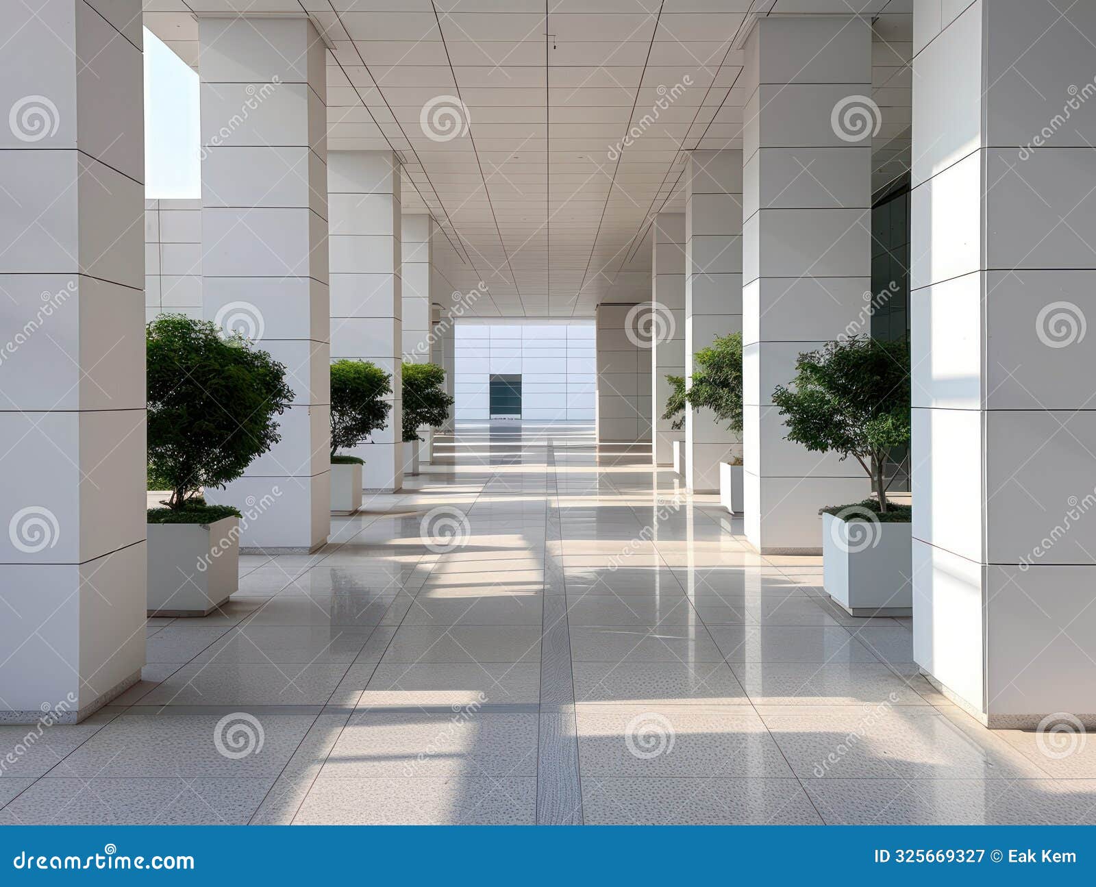 Architectural Shadow Play Building Location Unveiled through Intriguing ...