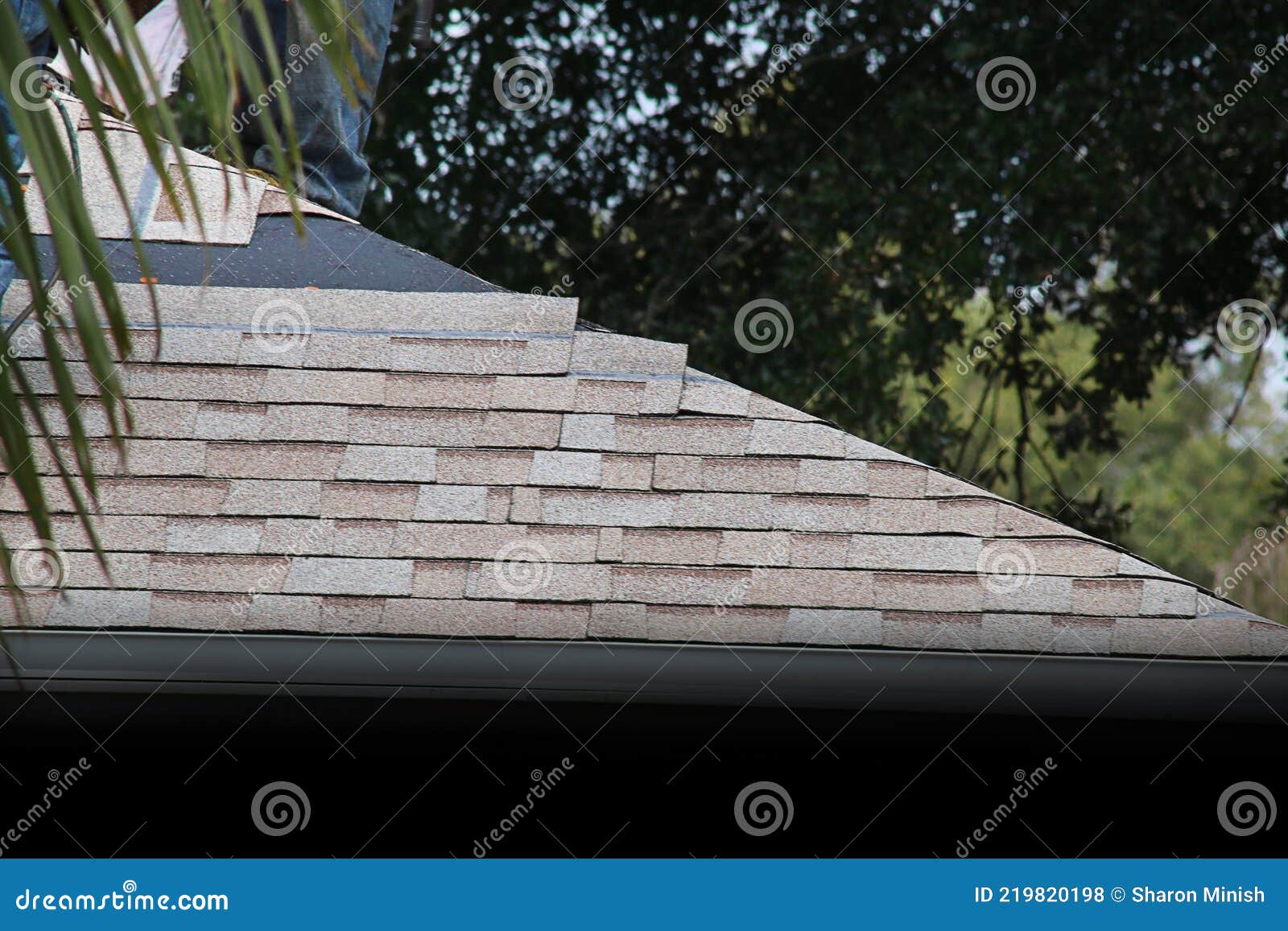 Architectural Shingles Being Installed Stock Photo - Image of close ...