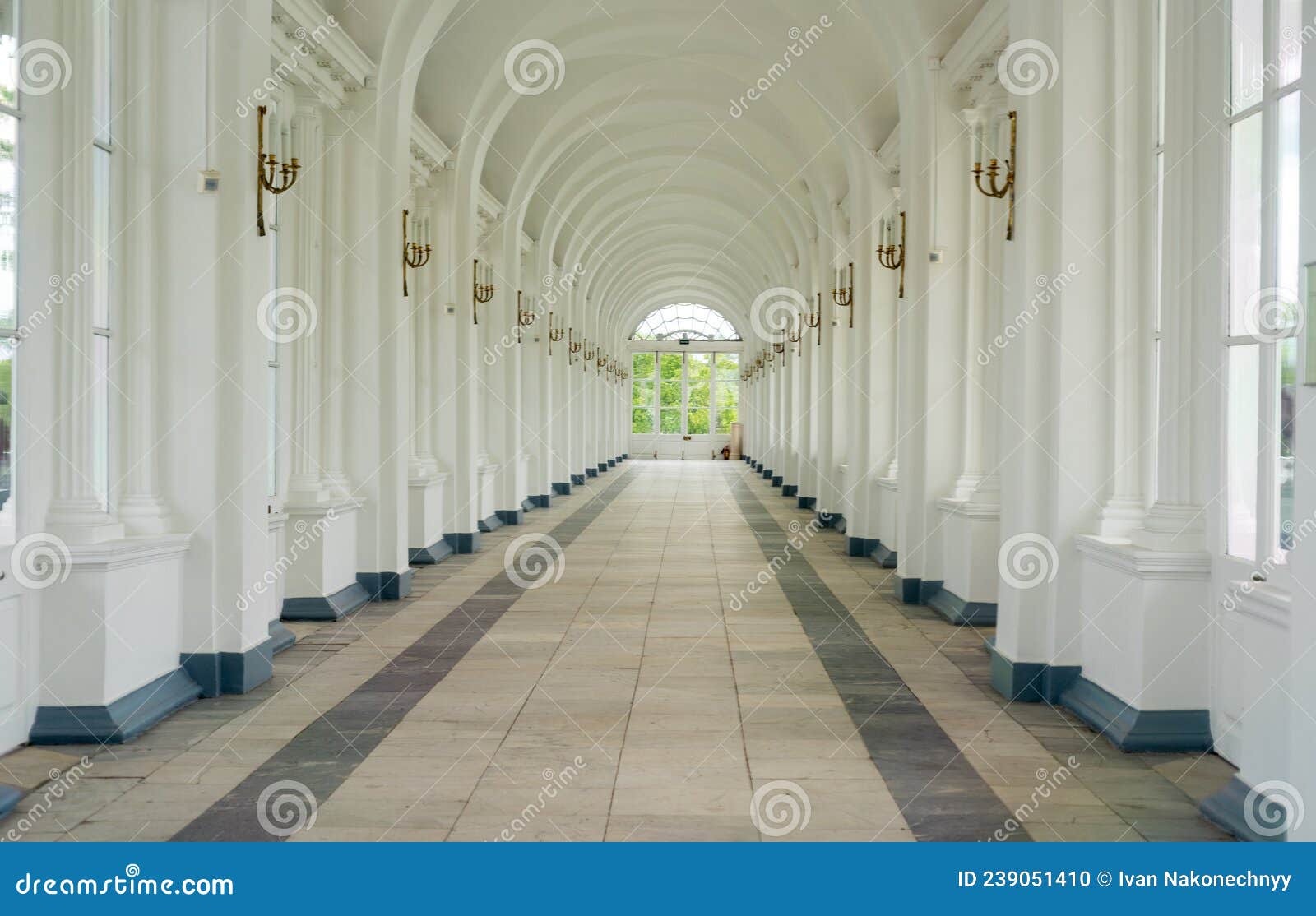 Architecture with an Arched Ceiling Stock Photo - Image of lines ...