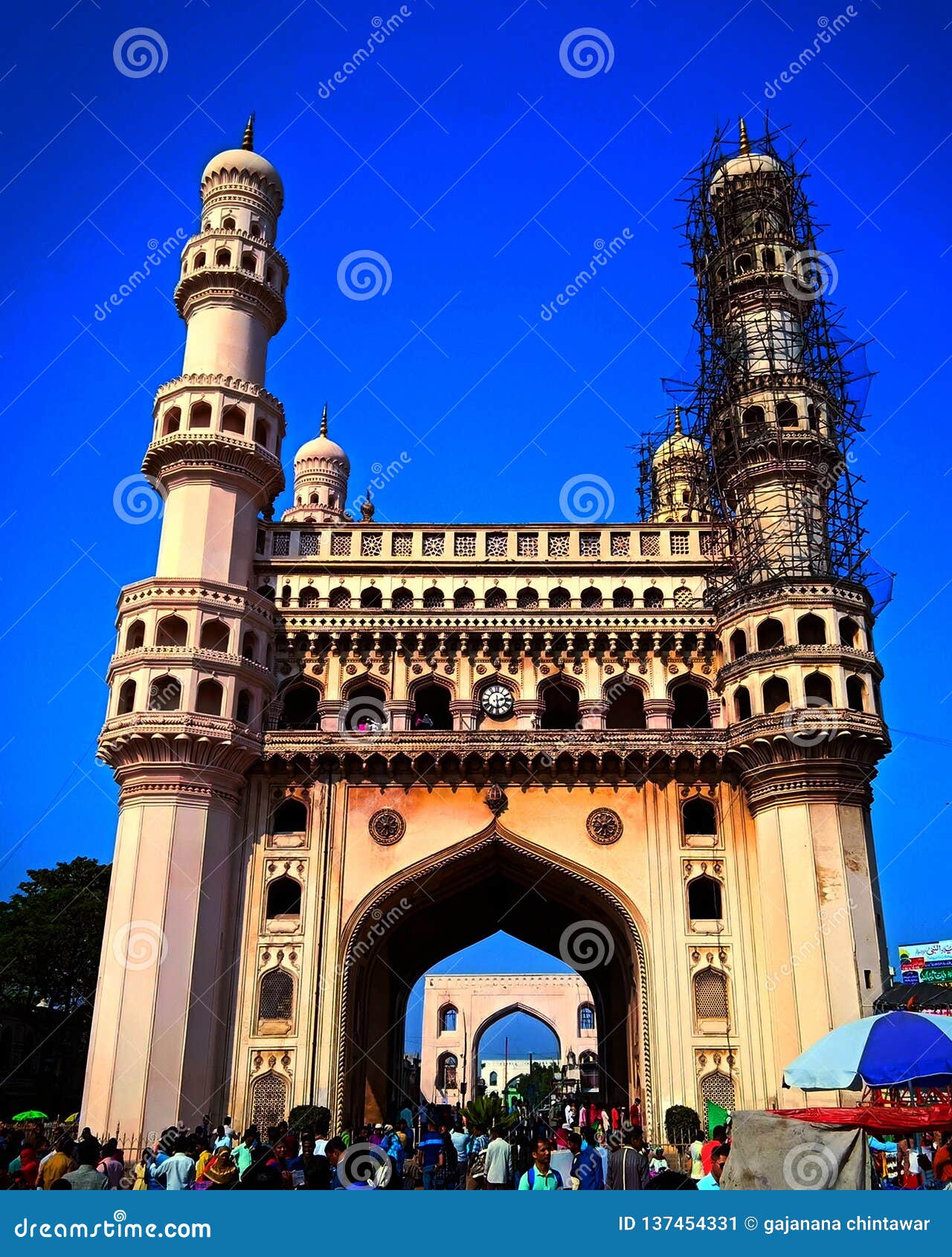 Beautiful Pitcture Stock Photos - Free & Royalty-Free Stock Photos from ...