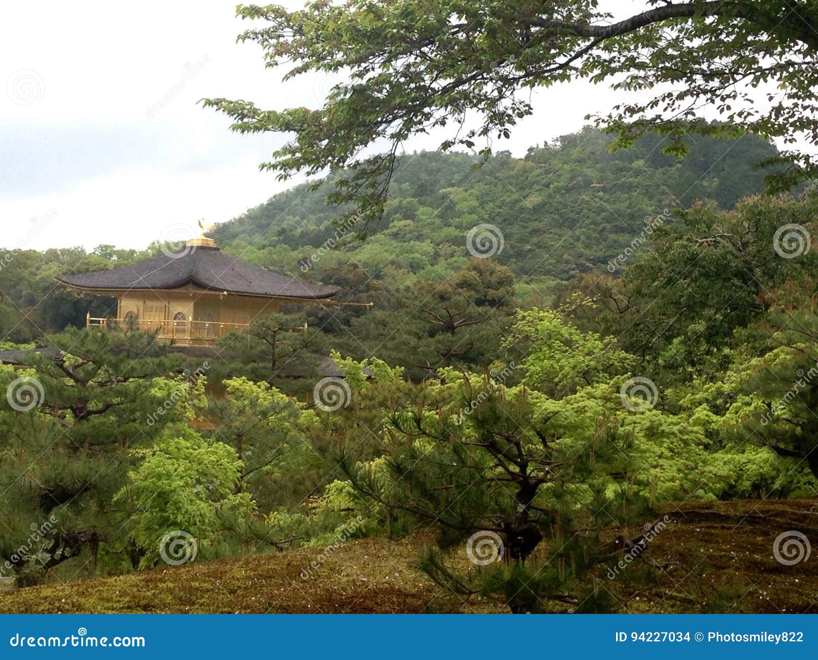 Architecture castle golden stock photo. Image of tree - 94227034