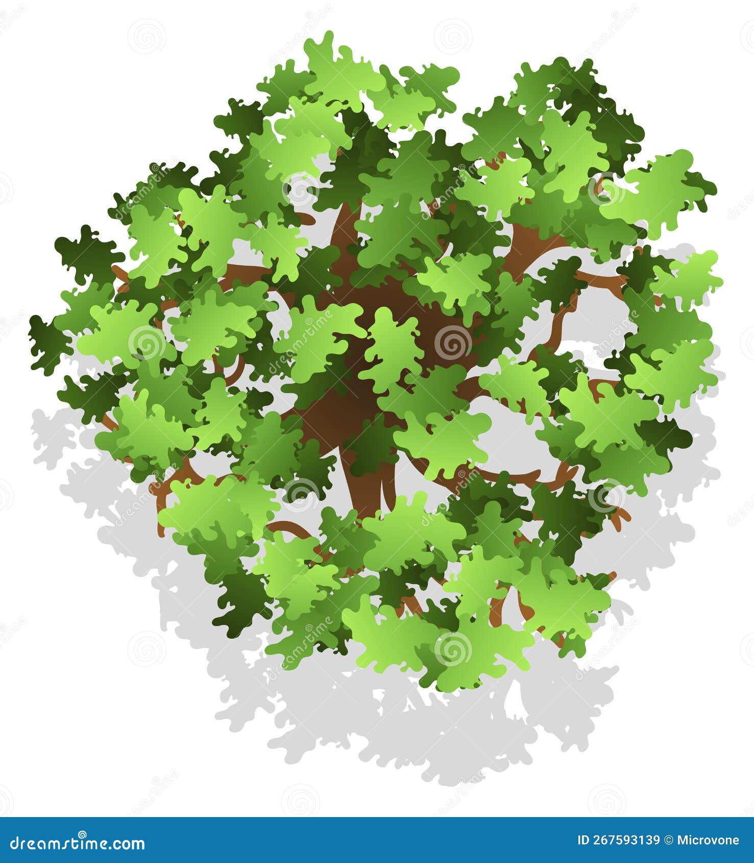 Architecture Design Plan Element. Green Tree from Above Stock Vector ...