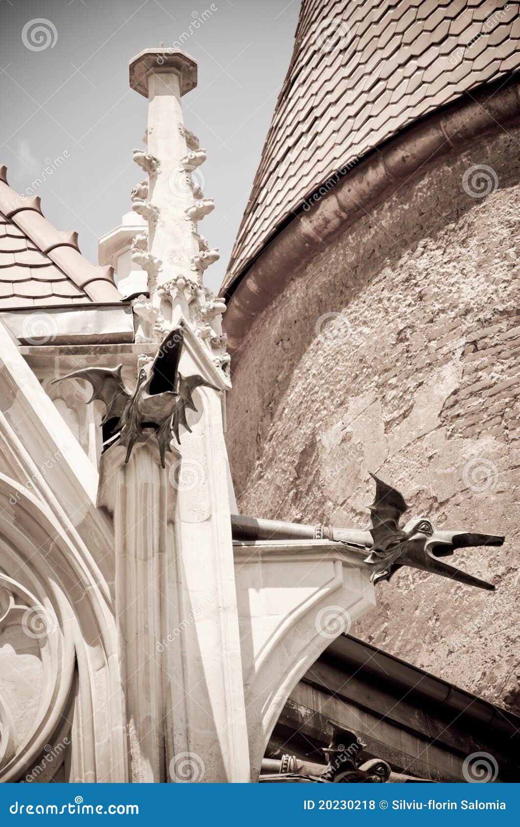 Architecture Details at a Romanian Medieval Castle Stock Photo - Image ...