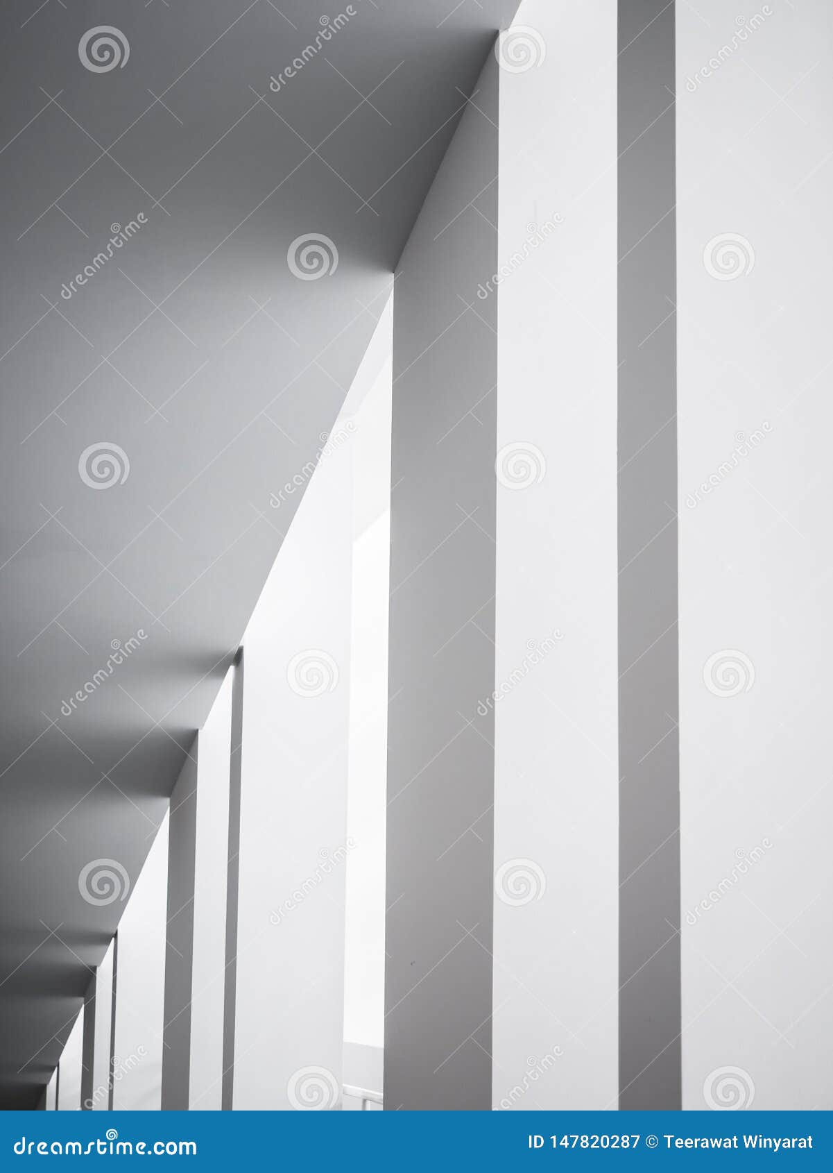 Architecture Details White Columns Modern Building Geometric Abstract ...