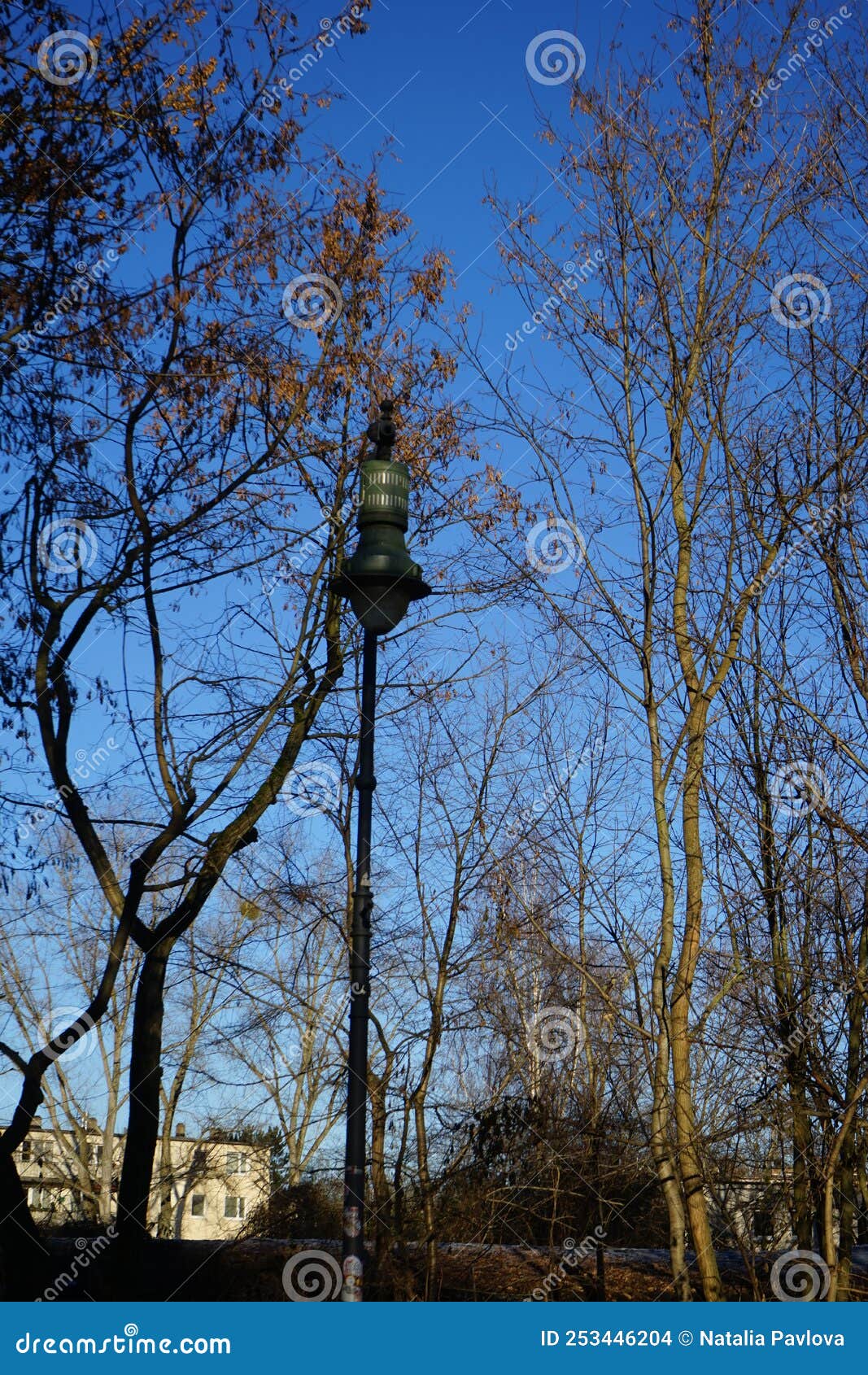 Street Lamp on the Side of the Road. Berlin, Germany Stock Photo ...