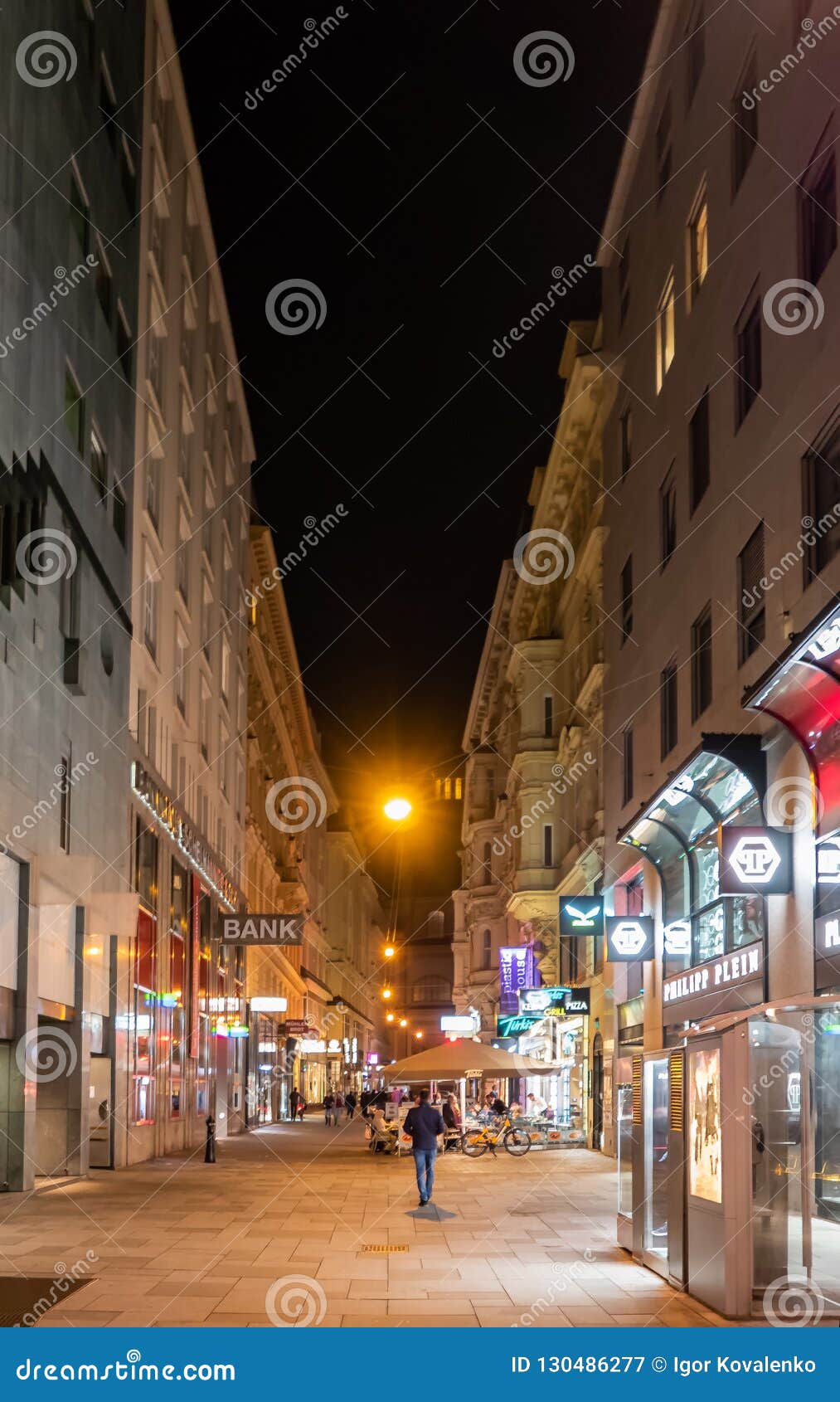 The Architecture of the Historic, Large City of Vienna Editorial ...